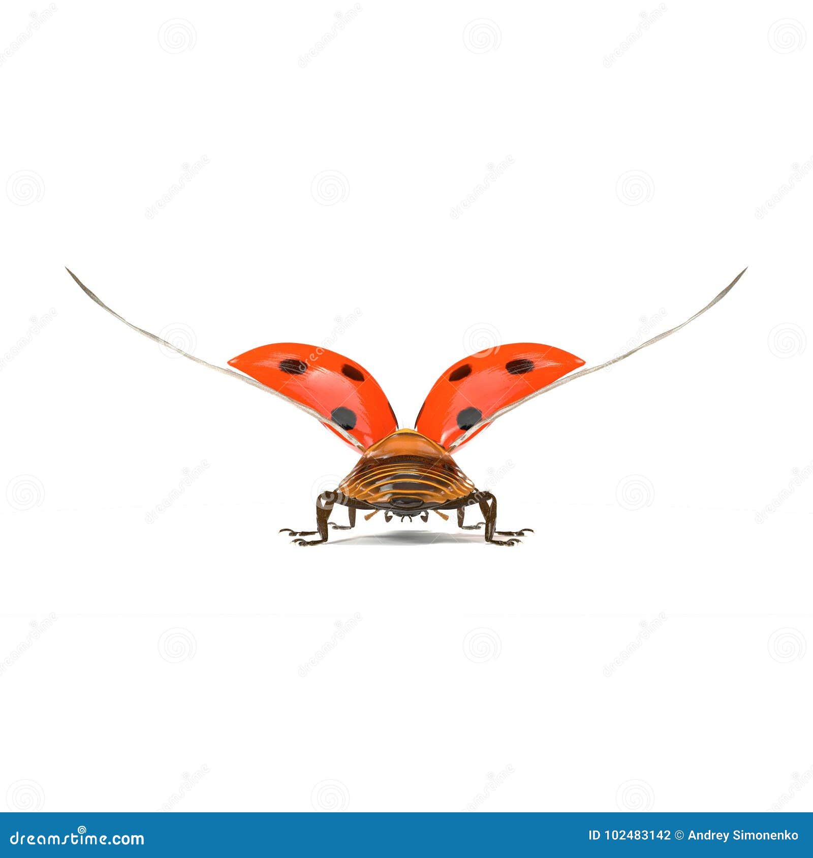 Ladybug on White. Rear View. 3D Illustration Stock Illustration ...