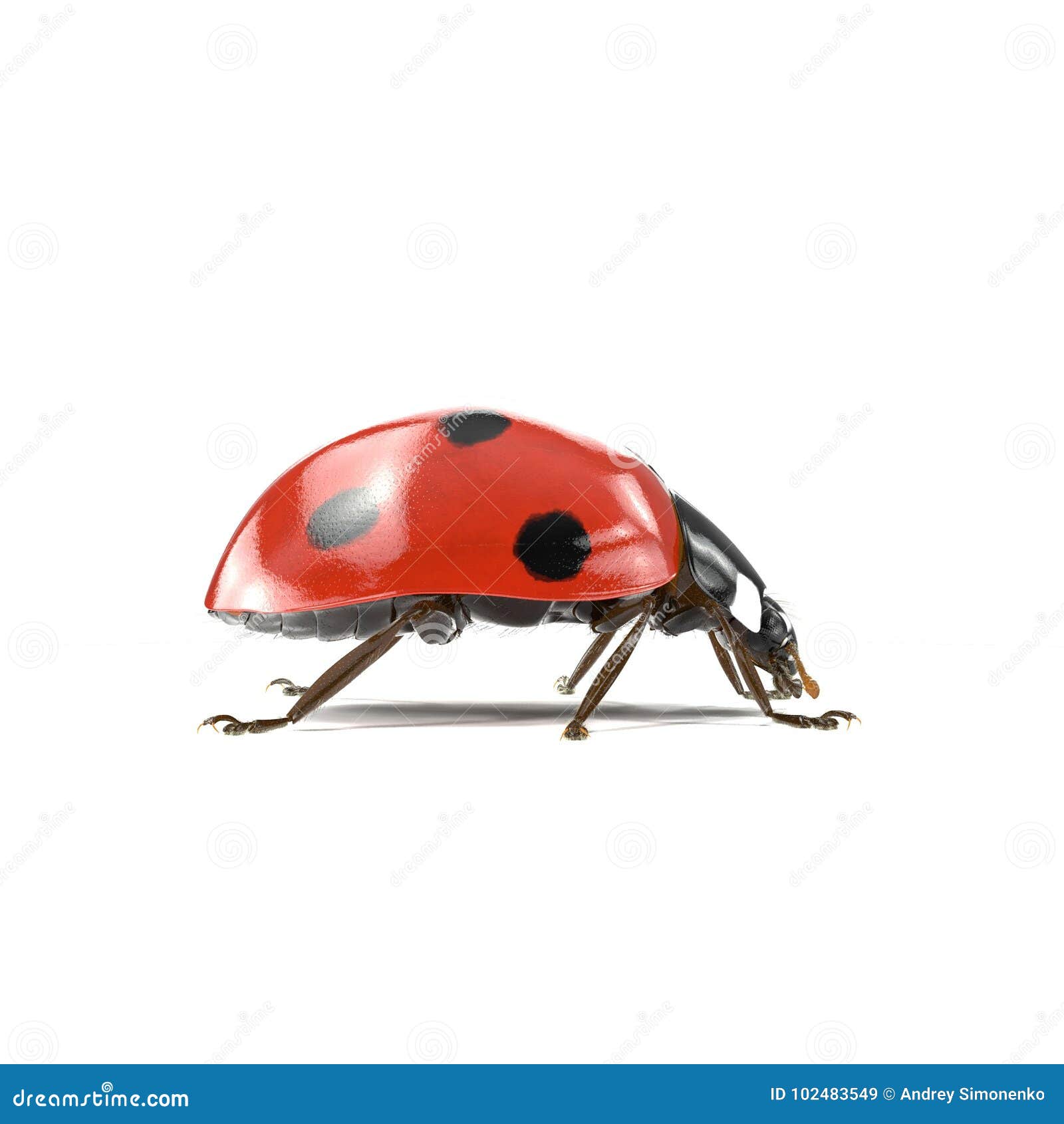 Ladybug on White. Side View. 3D Illustration Stock Illustration ...