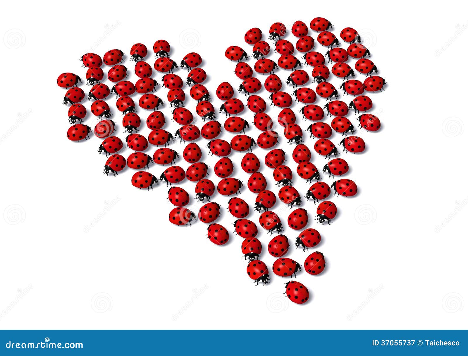 Ladybugs Form a Heart Shape Stock Illustration - Illustration of form ...