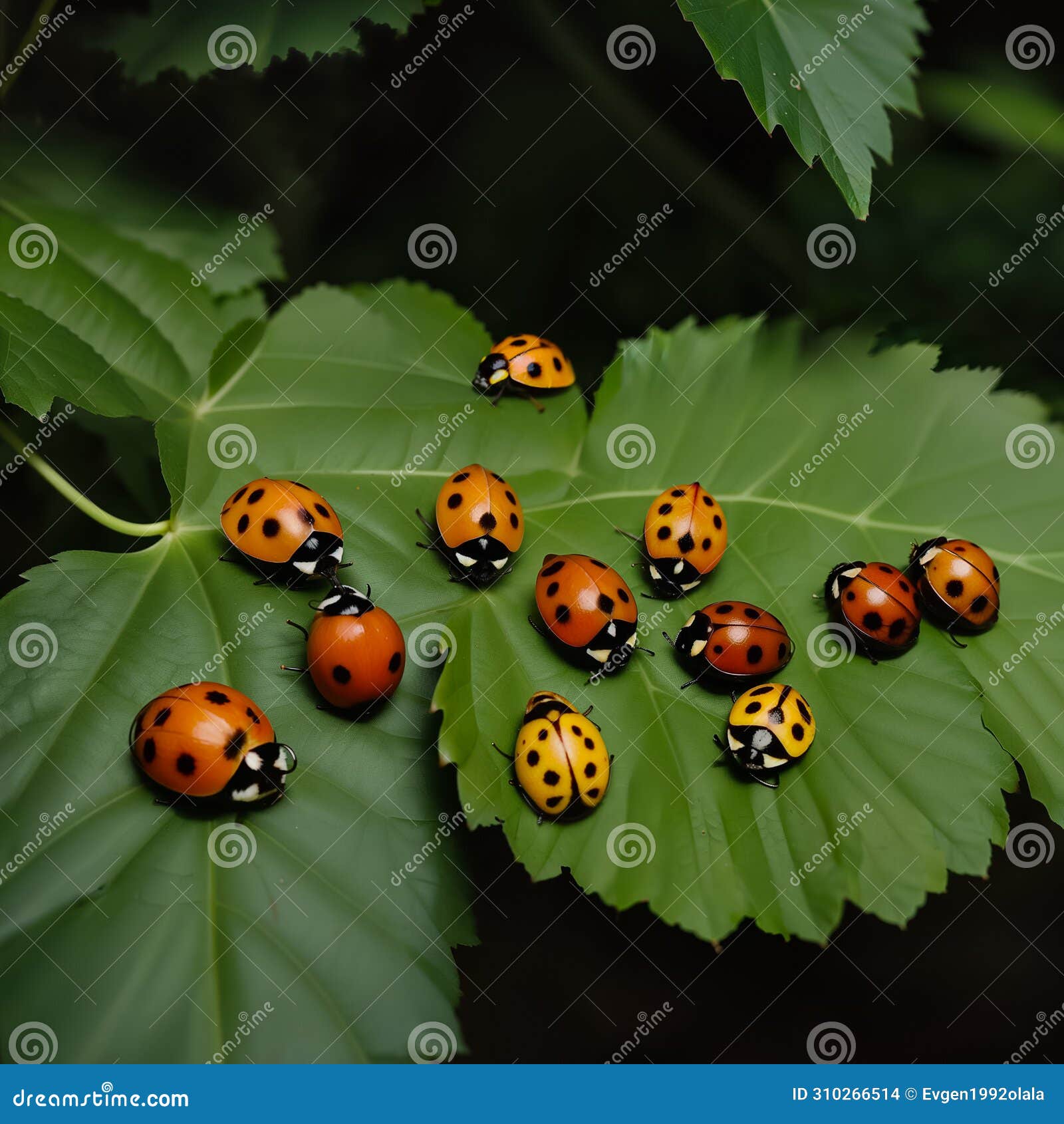 Ladybugs on Green Leaves. Generative AI Stock Illustration ...