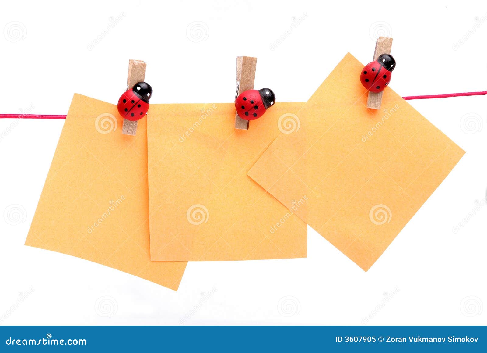 Ladybugs holding notes stock image. Image of writing, background - 3607905