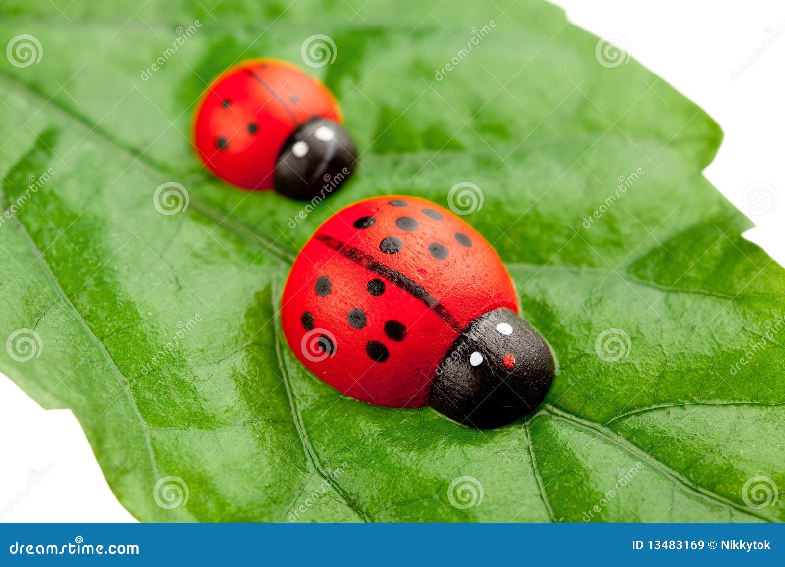 Ladybugs on the leaf stock image. Image of ecology, environment - 13483169