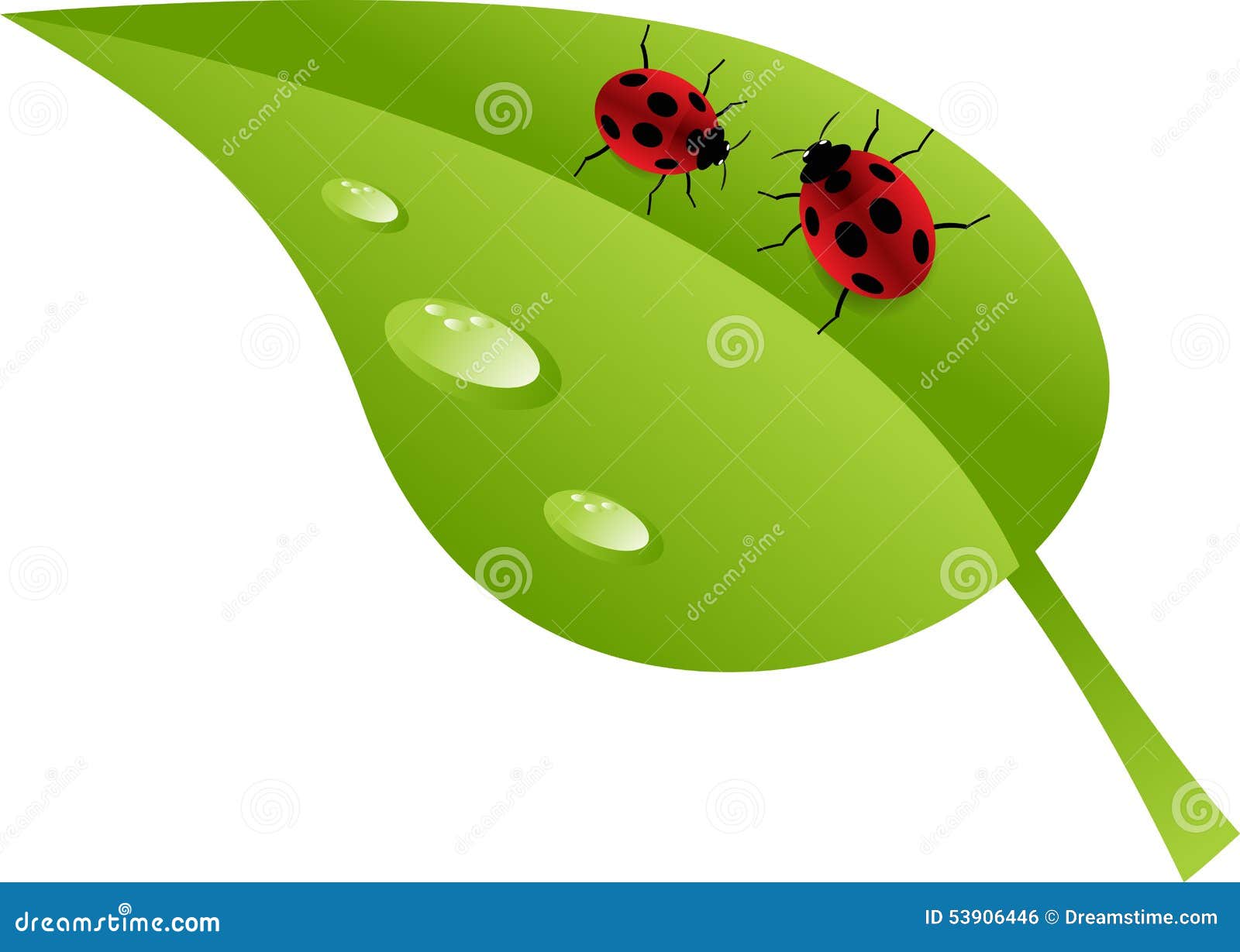 Ladybugs on leaf stock vector. Illustration of graphic - 53906446