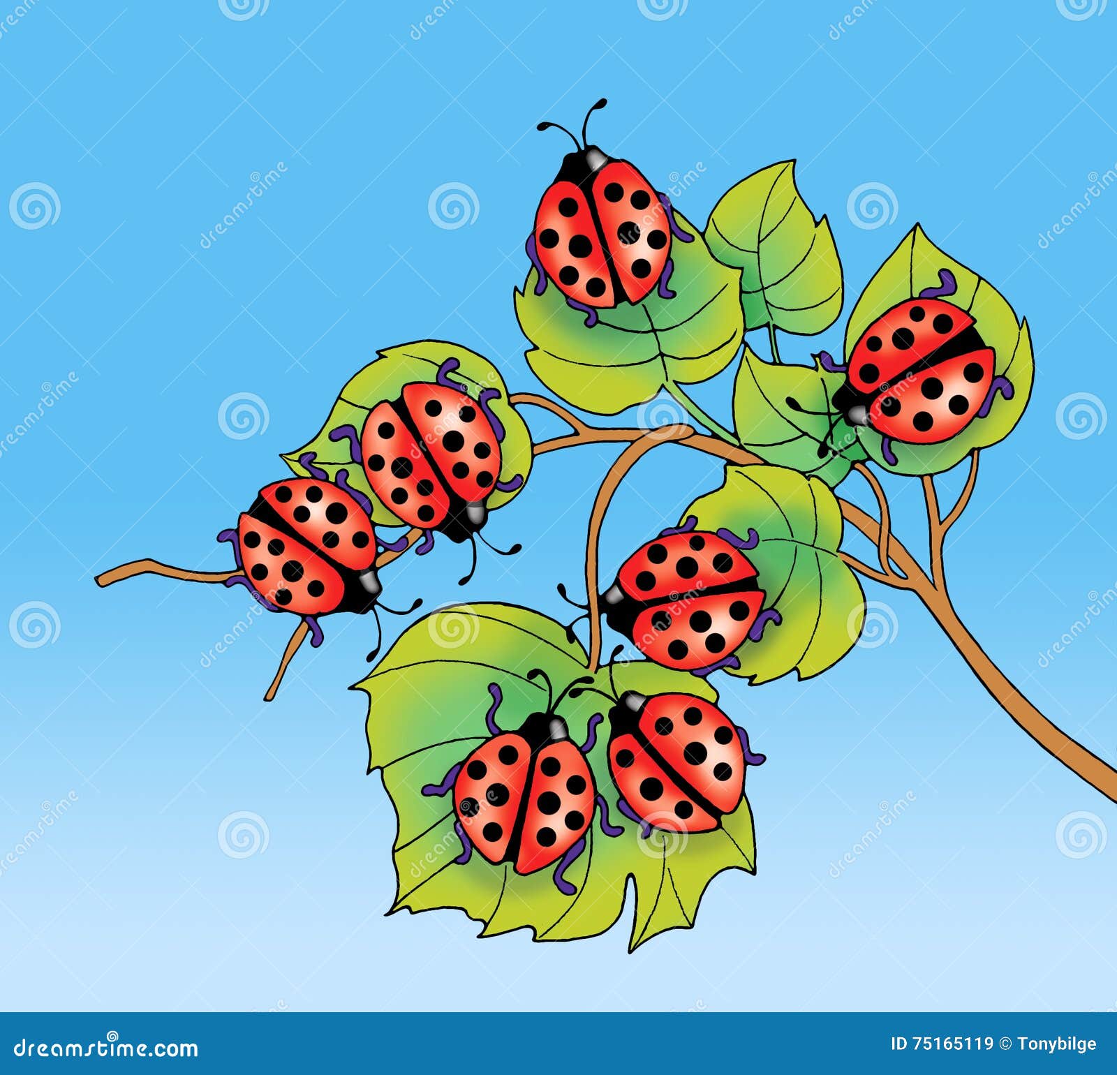 Ladybugs on leaves stock illustration. Illustration of piece - 75165119