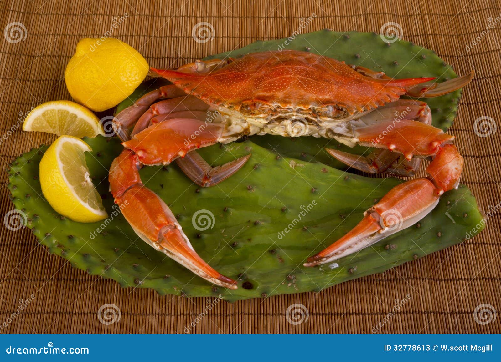 Lagad mat krabba. fotografering för bildbyråer. Bild av maryland - 32778613