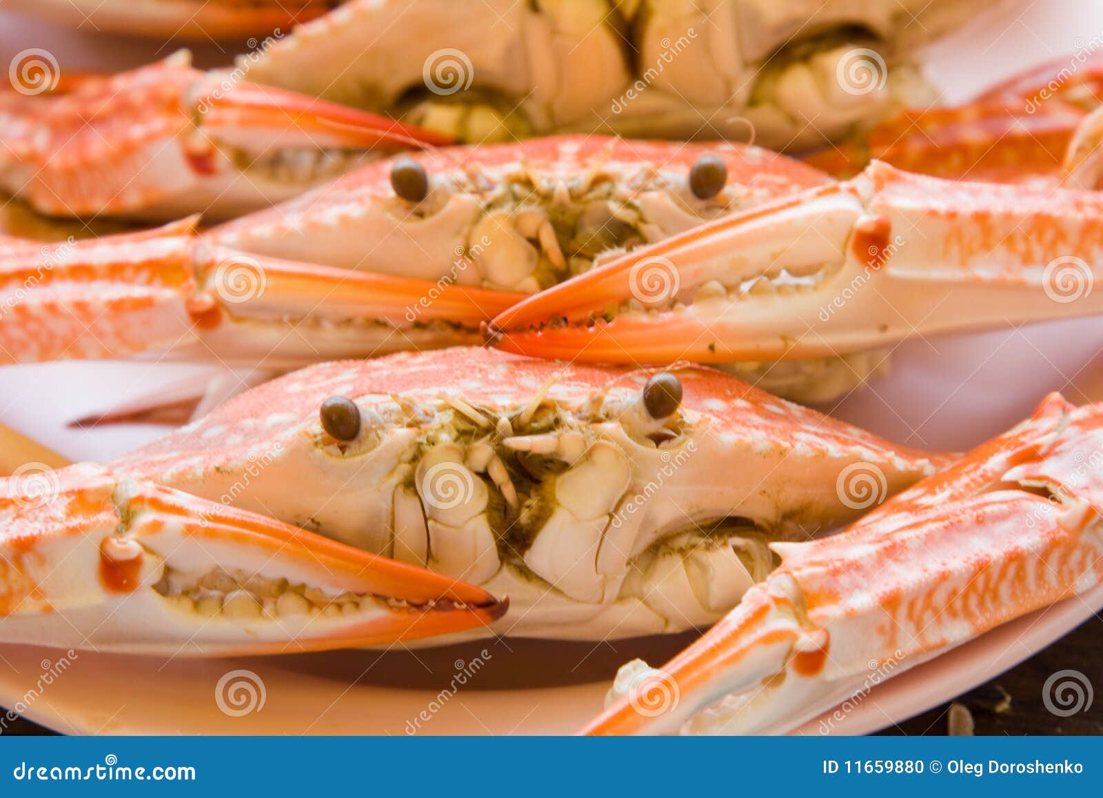 Lagade mat krabbor arkivfoto. Bild av nytt, kock, suckulent - 11659880