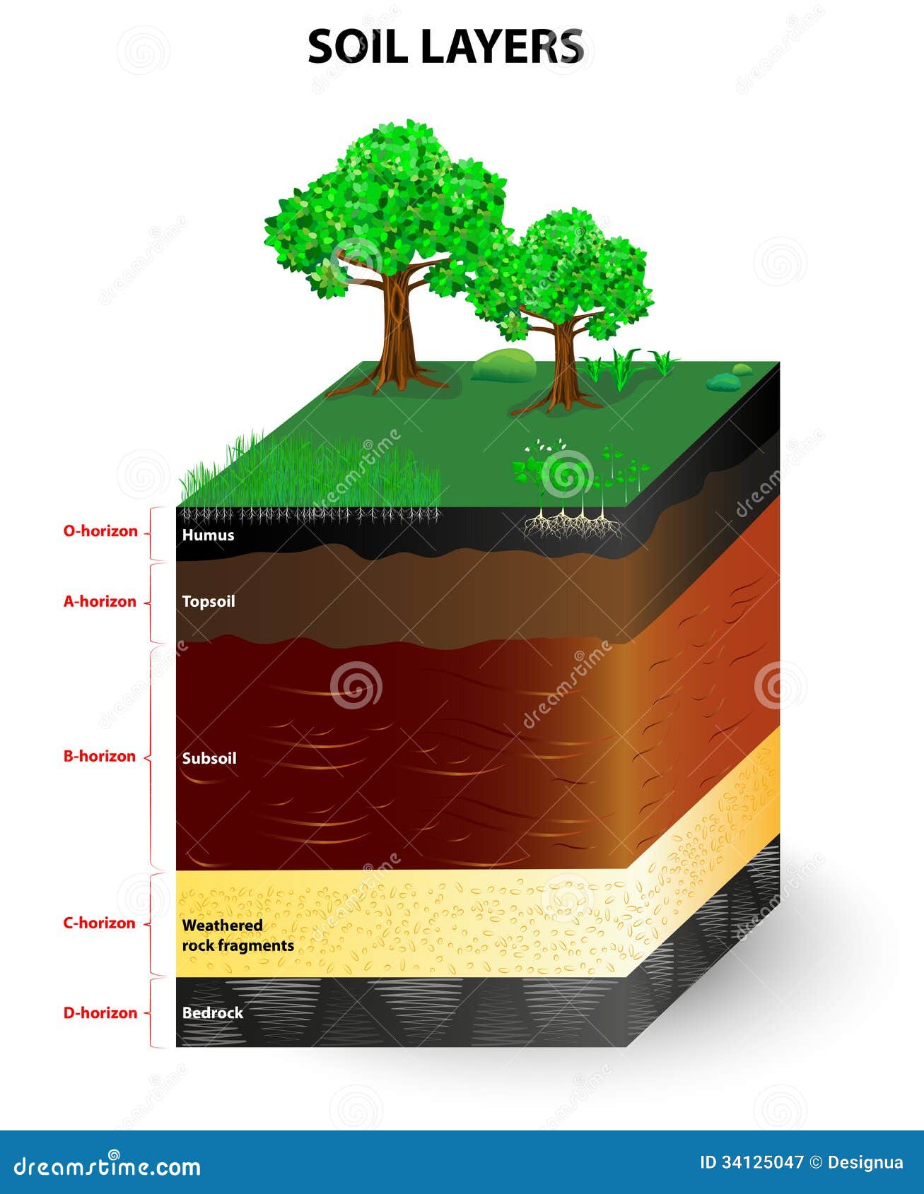 Lagen van een grondprofiel vector illustratie. Illustration of diagram ...