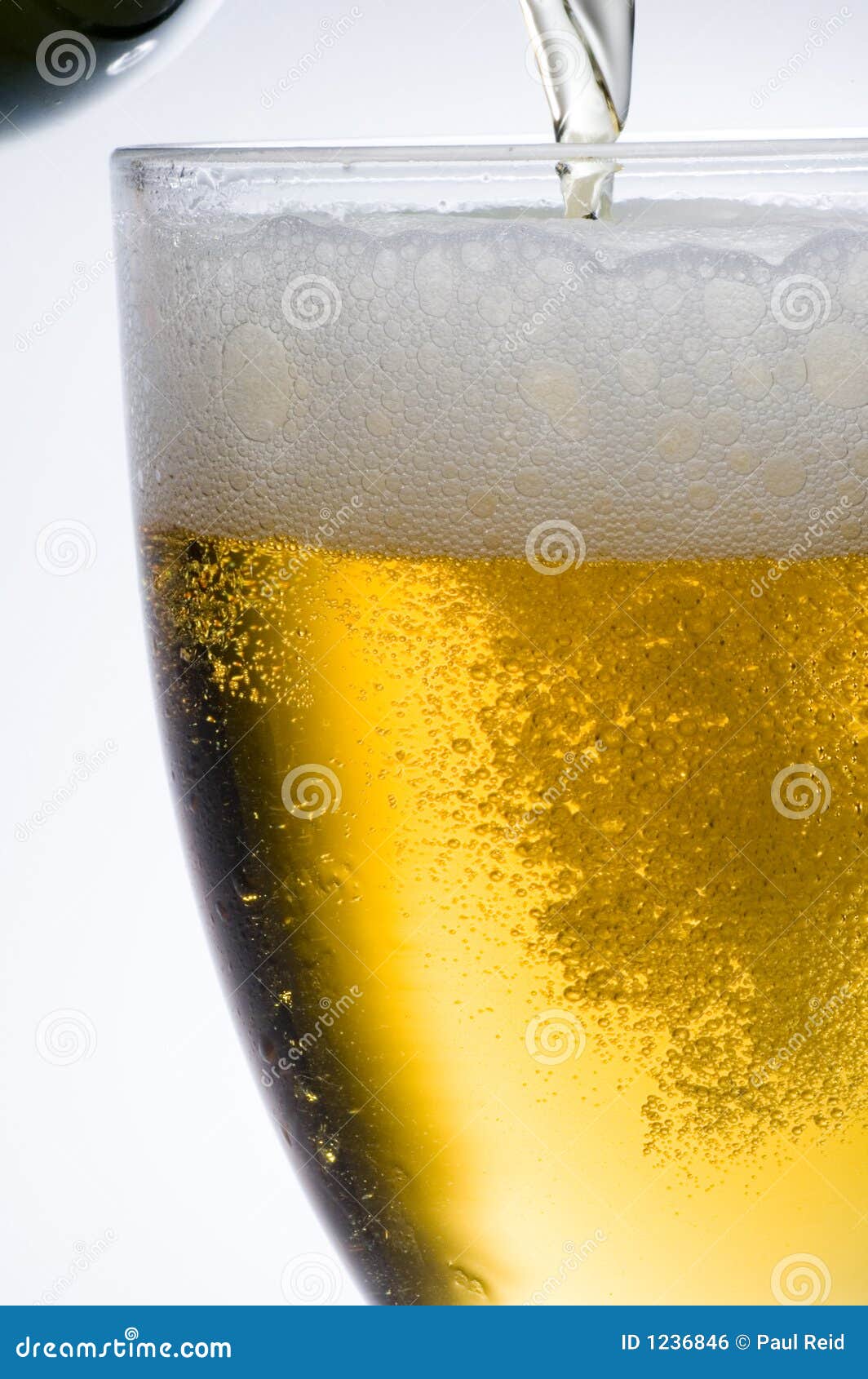 Lager beer stock photo. Image of isolated, head, cold - 1236846