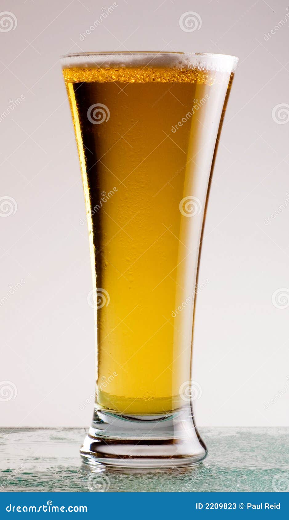 Lager Beer stock image. Image of party, crockery, golden - 2209823