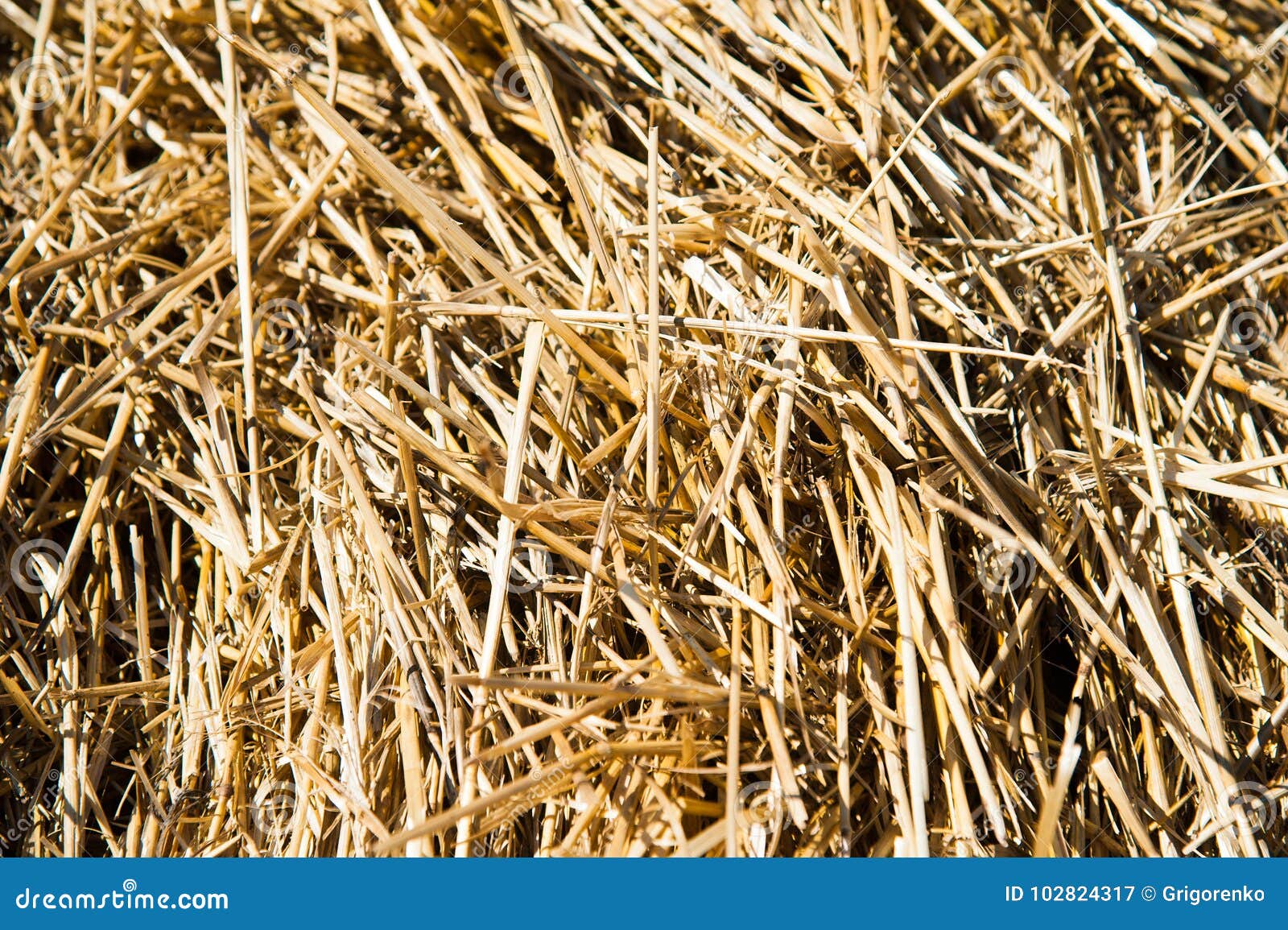 Lagerung Mit Stapel Von Stapeln Heu Stockbild - Bild von stroh ...