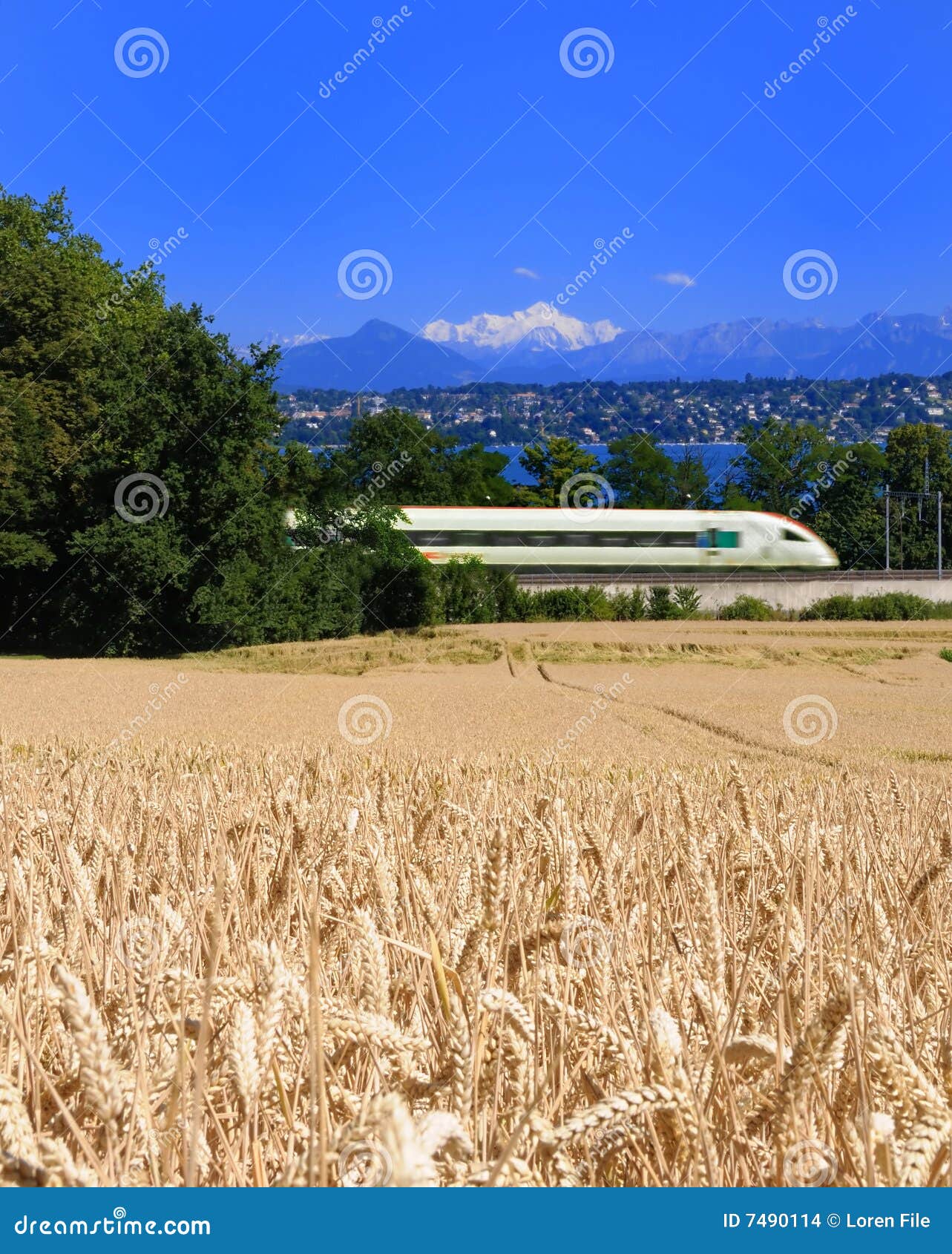 Lago Aps train del trigo foto de archivo. Imagen de europa - 7490114