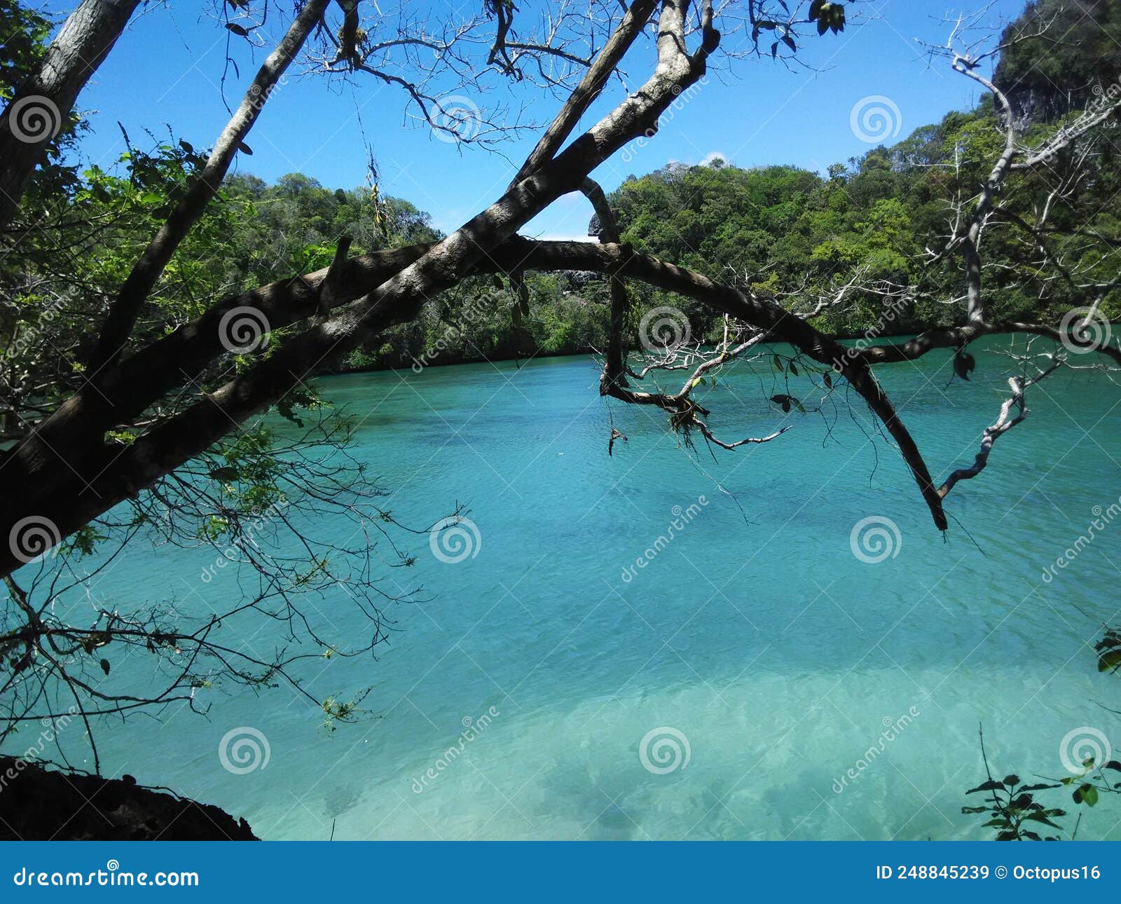Lago Azul Y Cielo Azul Tomado De La Cima. Imagen de archivo - Imagen de ...