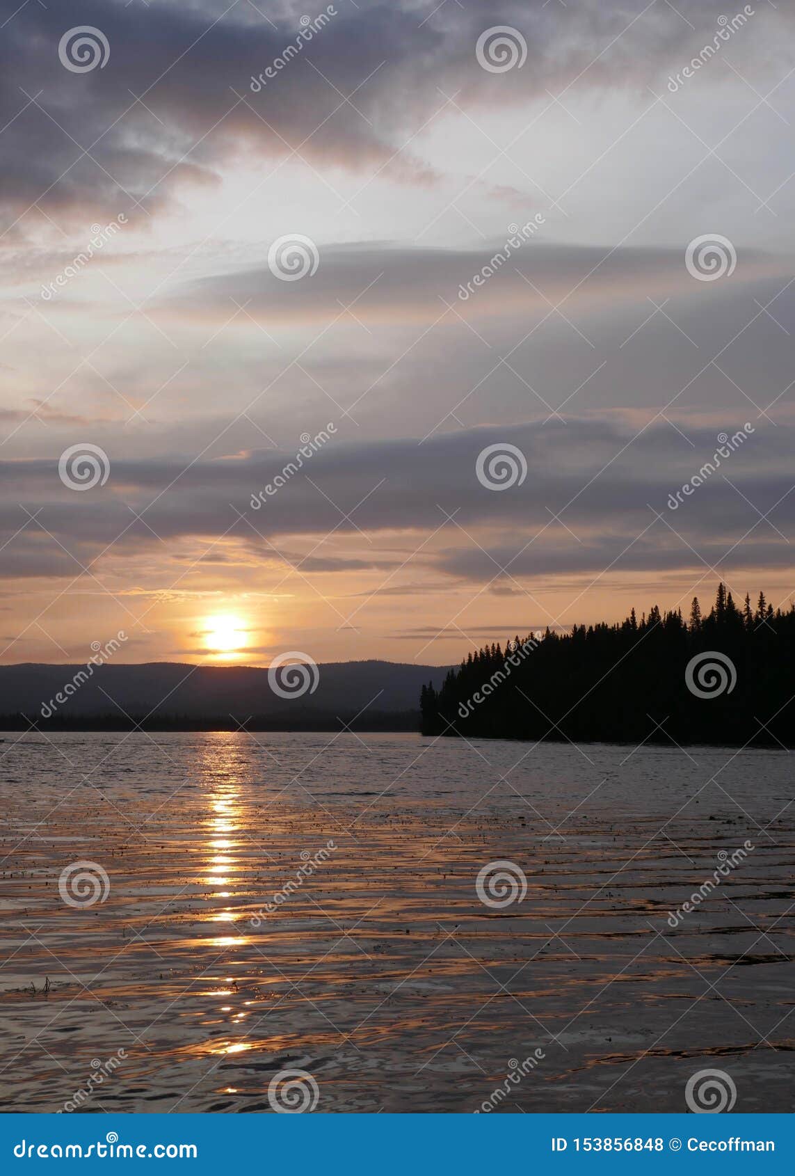 Lago birch de Alaska foto de archivo. Imagen de interior - 153856848