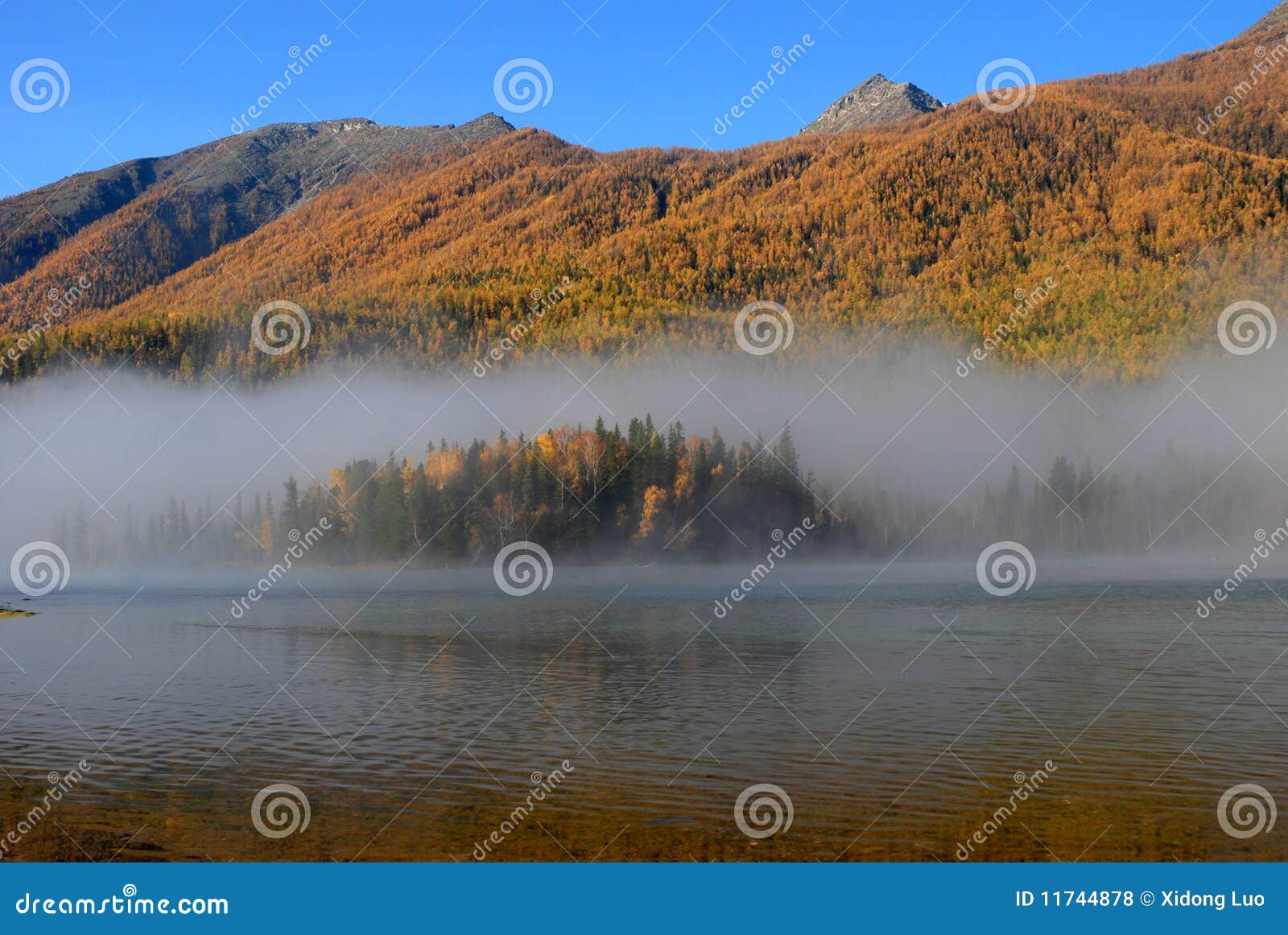 Lago brumoso foto de archivo. Imagen de superficie, hermoso - 11744878