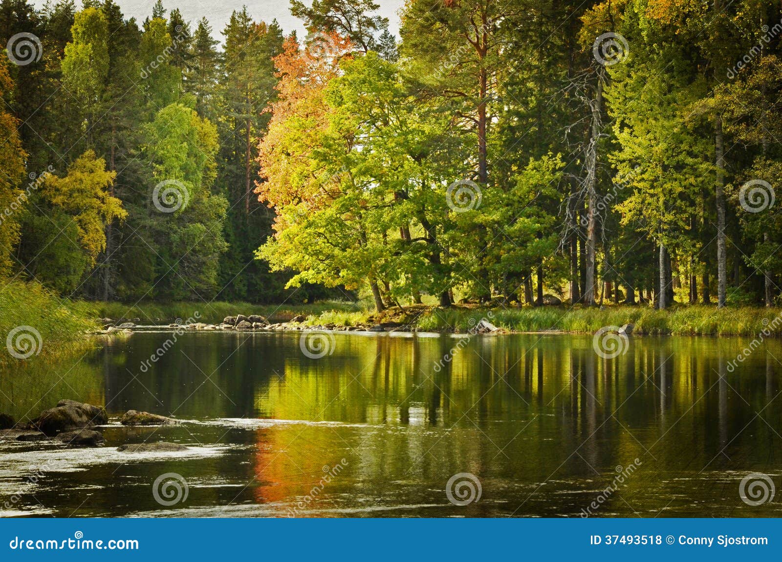 Lago Calmo. Imagens Conceptuais Da Textura Foto de Stock - Imagem de ...