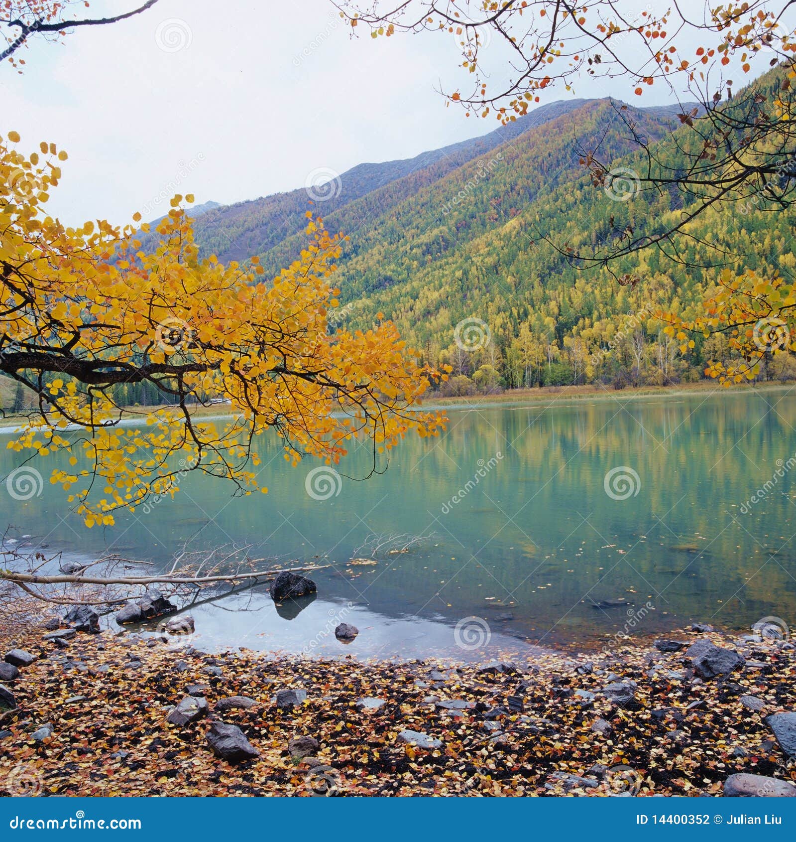 Lago colorido foto de stock. Imagem de colorido, verde - 14400352