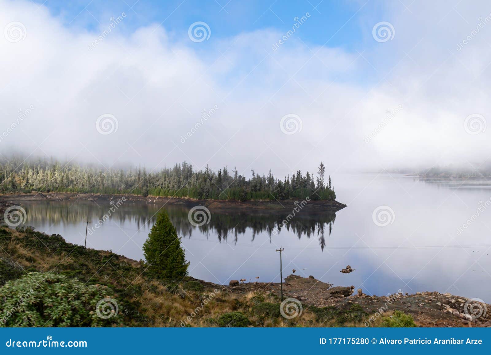 Lago Con Bosque De Pinos Corani Foto de archivo - Imagen de lago, pino ...