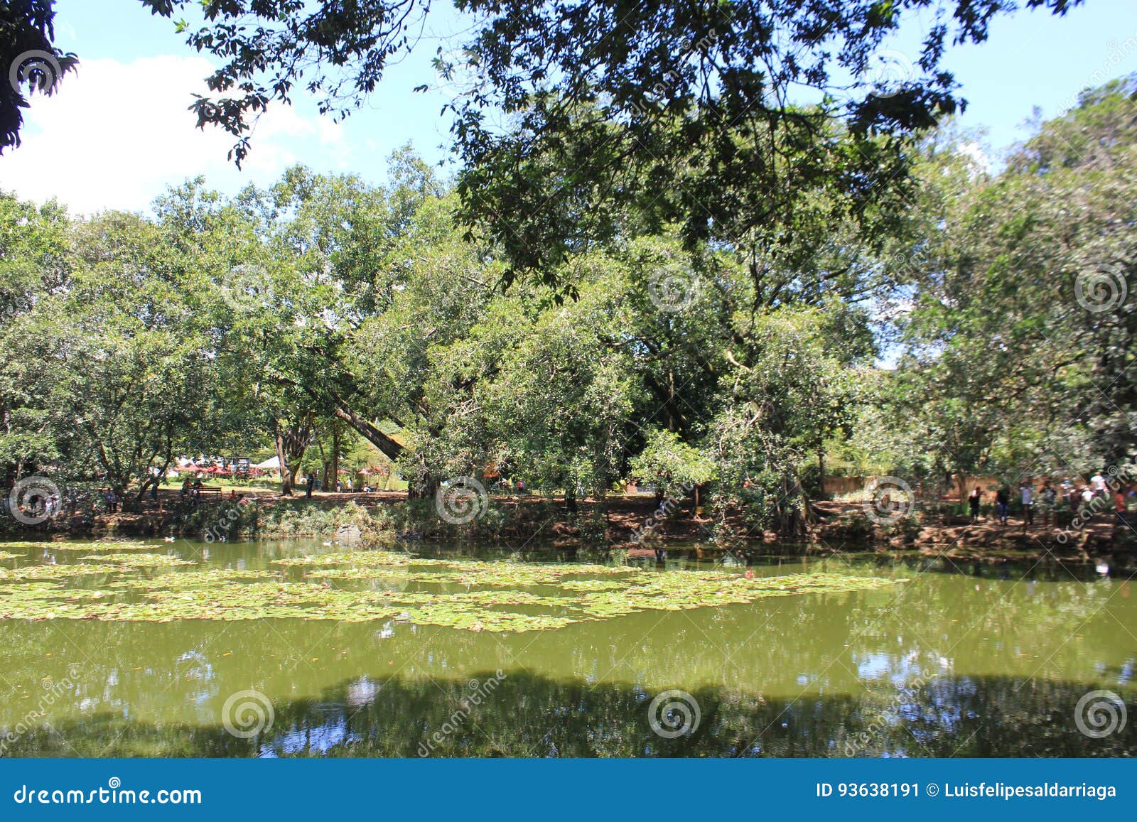 Lago Con Las Plantas De Loto Imagen de archivo - Imagen de piel, azul ...