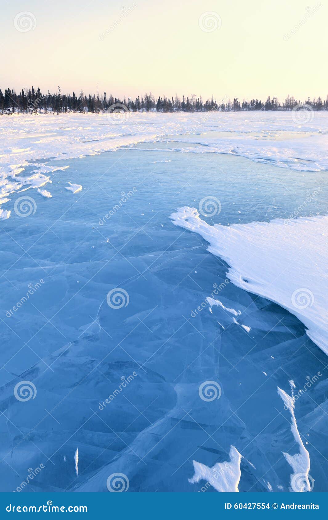 Lago Congelado Com Floresta Boreal Foto de Stock - Imagem de anoitecer ...