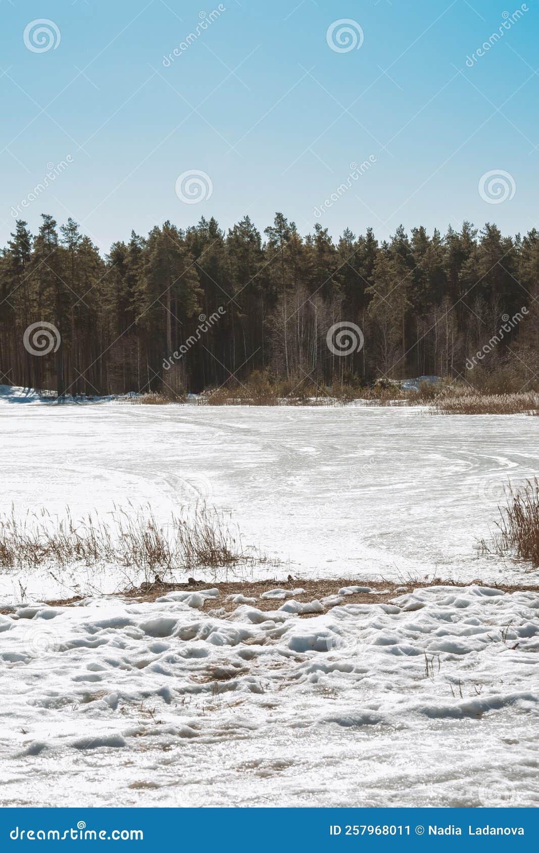 Lago congelado imagen de archivo. Imagen de lago, hielo - 257968011