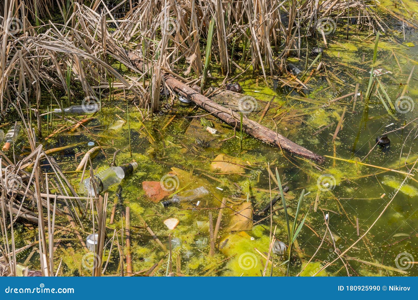 Lago Contaminado Con Basura Y Botellas Foto de archivo - Imagen de ...