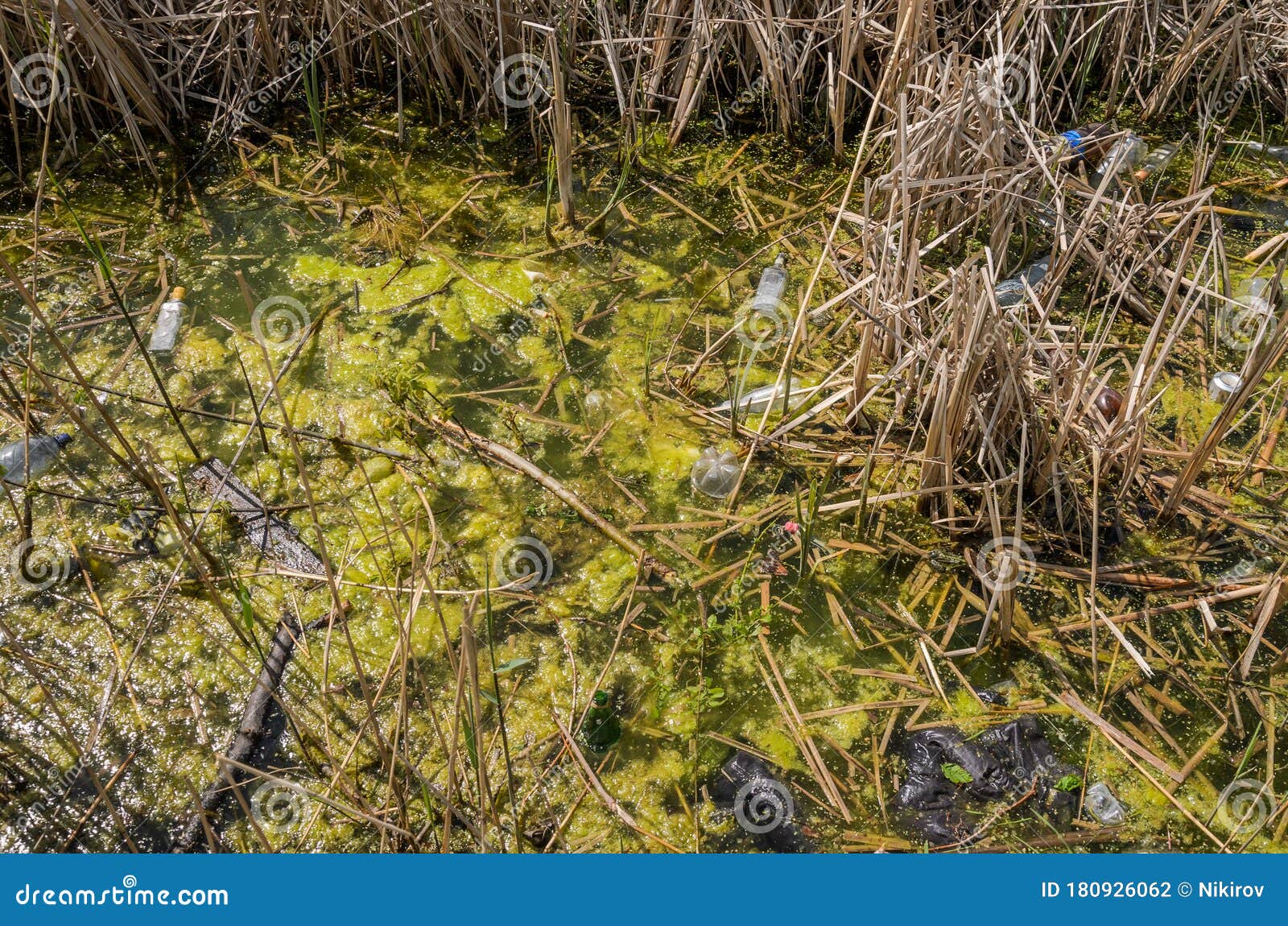 Lago Contaminado Con Basura Y Botellas Foto de archivo - Imagen de ...