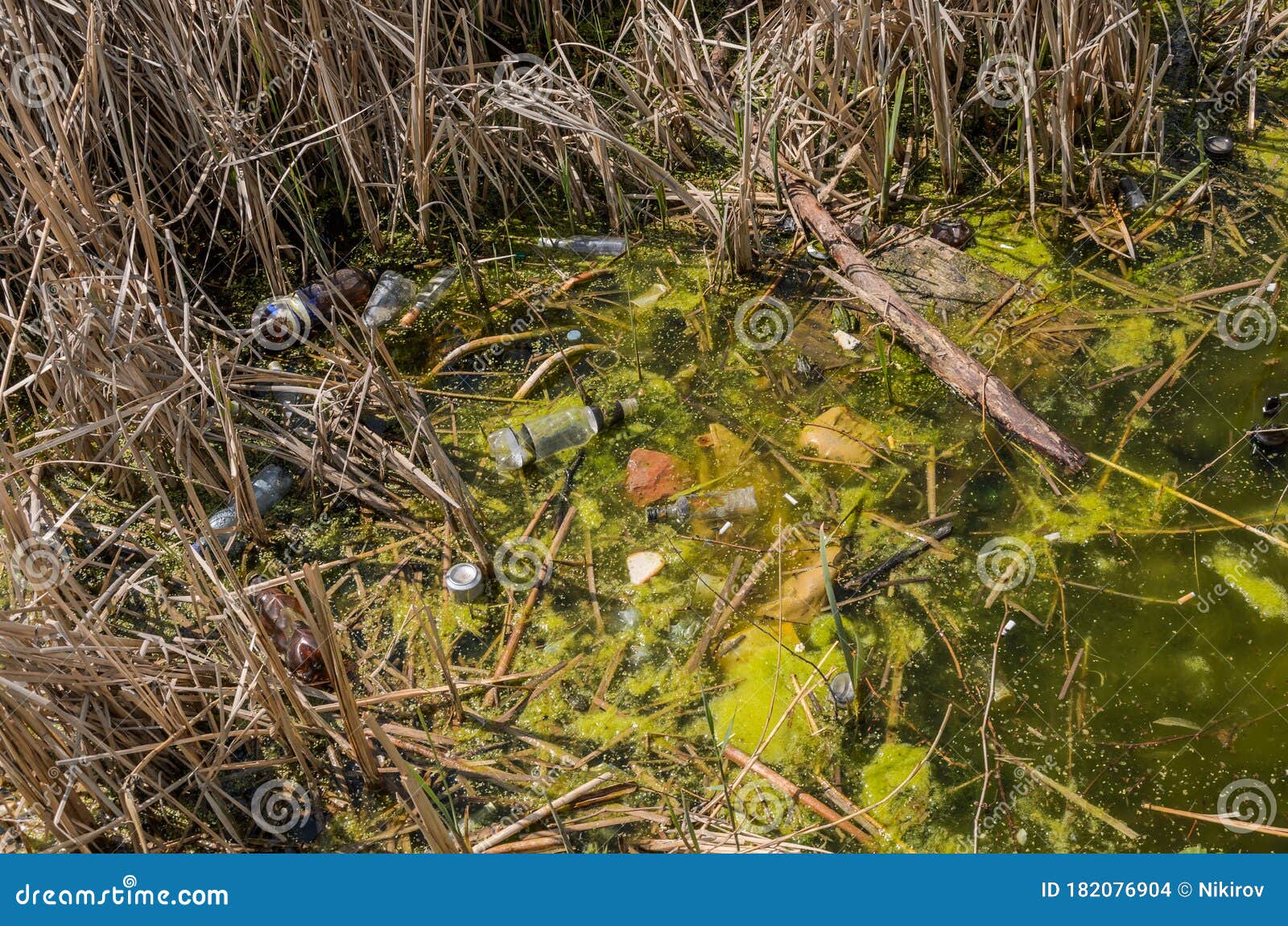 Lago Contaminado Con Basura Y Botellas Foto de archivo - Imagen de ...