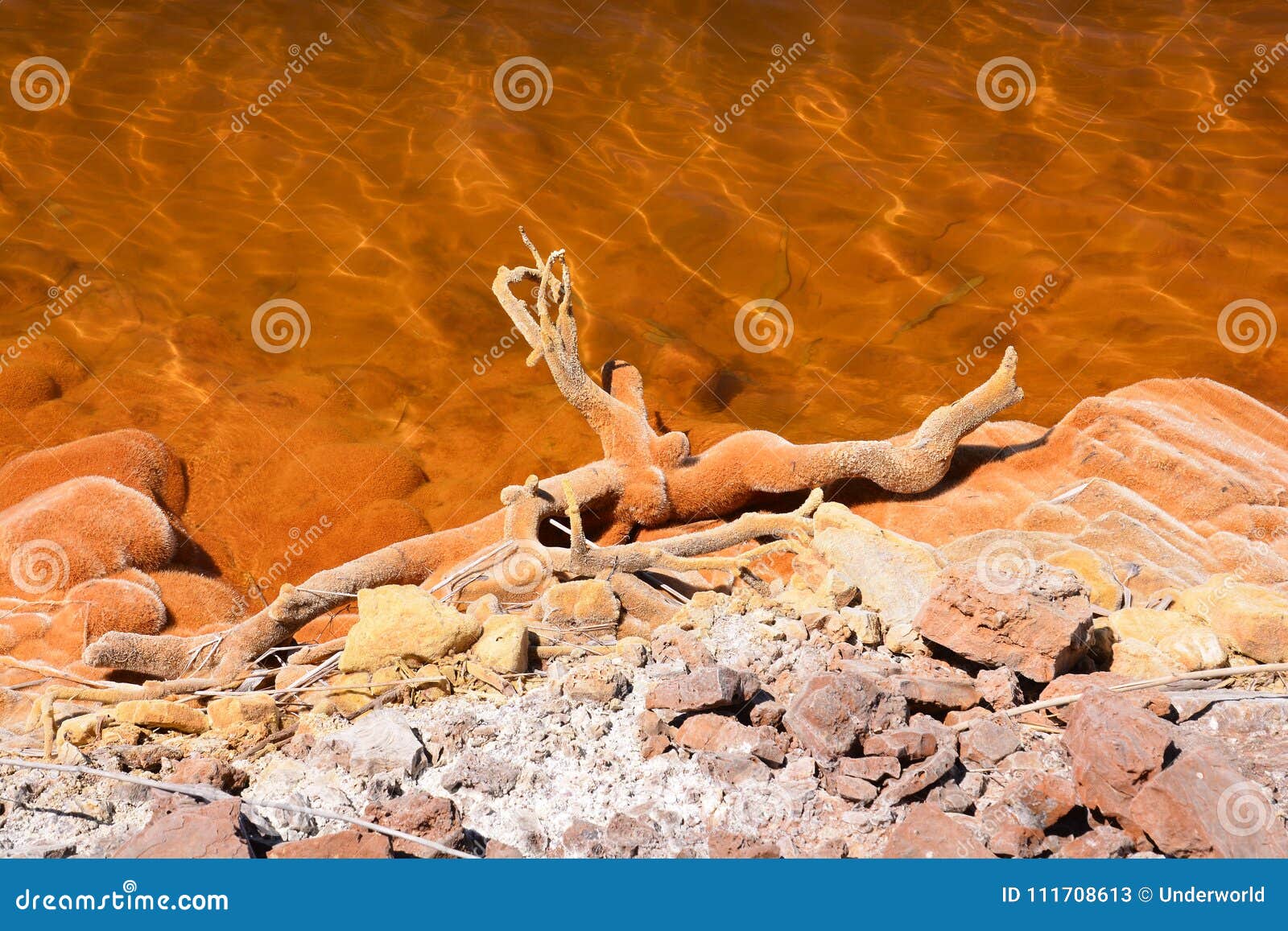 Lago contaminado rojo imagen de archivo. Imagen de pista - 111708613