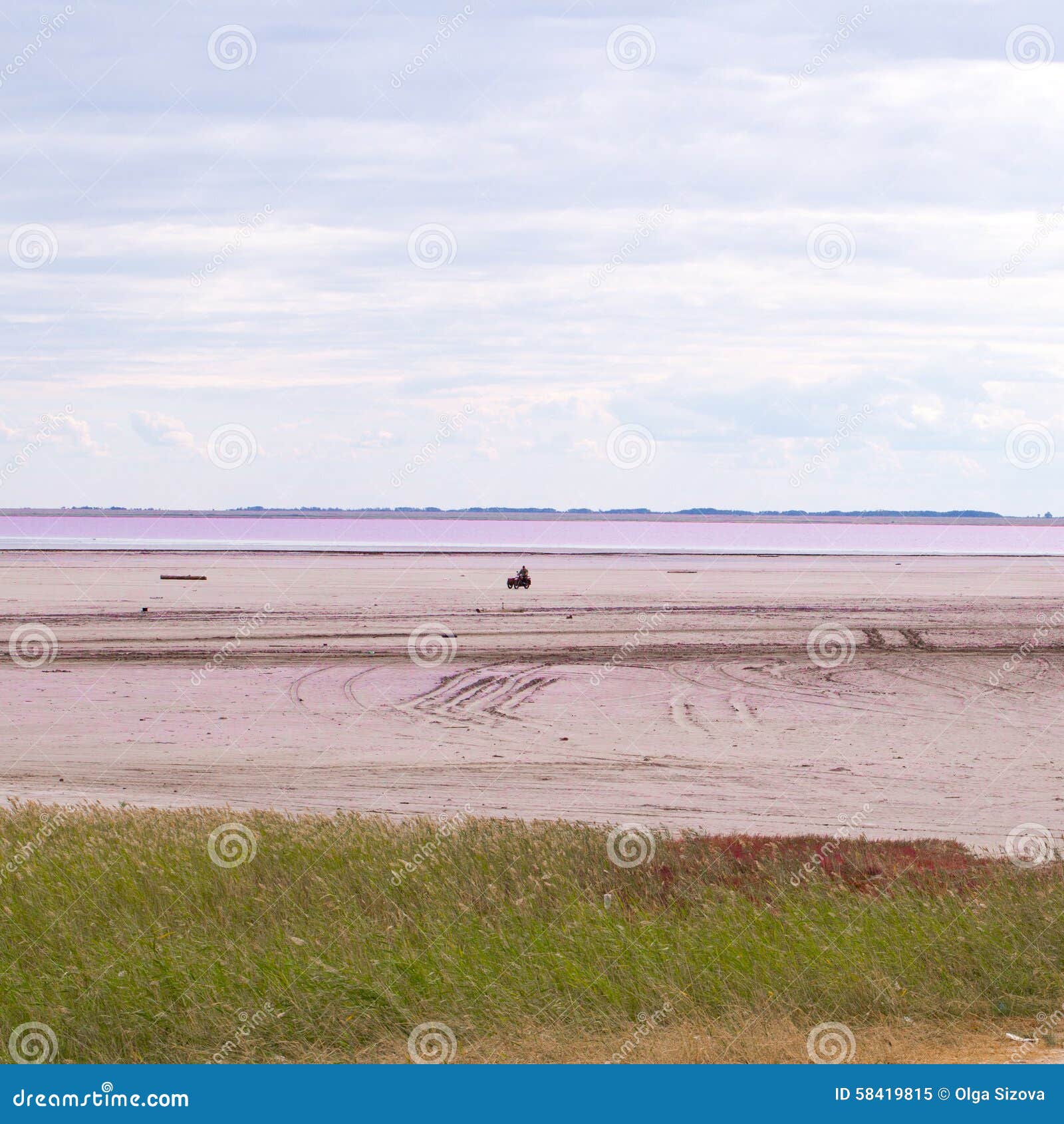 Lago cor-de-rosa salgado imagem de stock. Imagem de recolhimento - 58419815