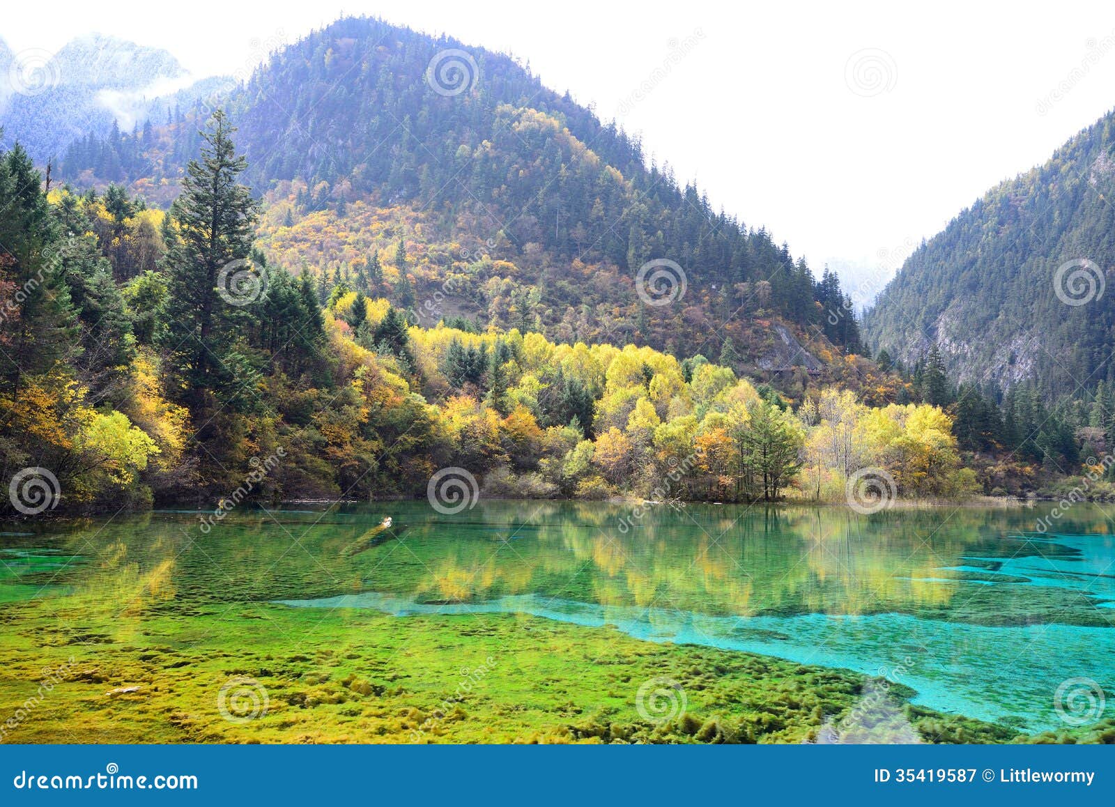 Lago De Cinco Flores, Jiuzhaigou Imagen de archivo - Imagen de fresco ...