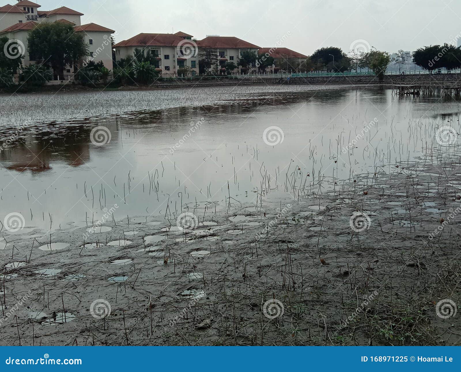 Lago de lodo redondo imagen de archivo. Imagen de redondo - 168971225