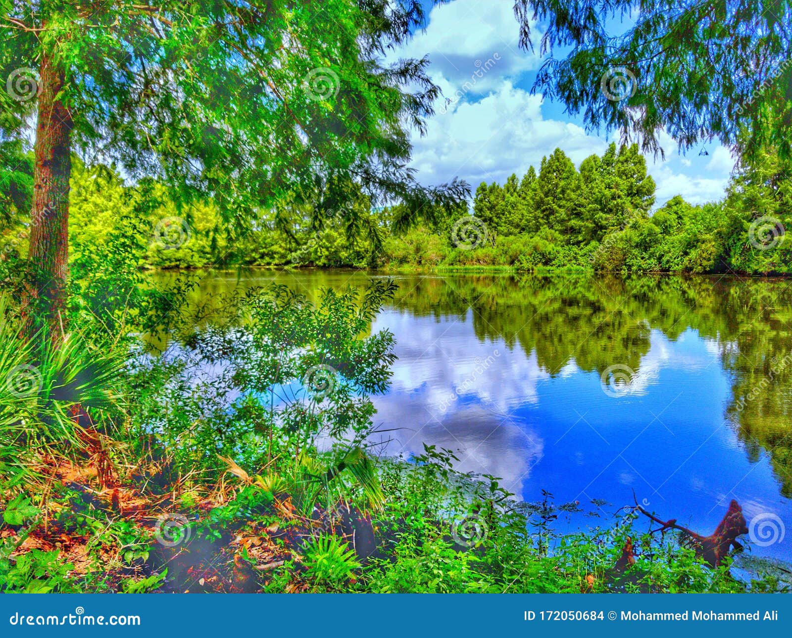 Lago de Orlando Florida foto de archivo. Imagen de verde - 172050684