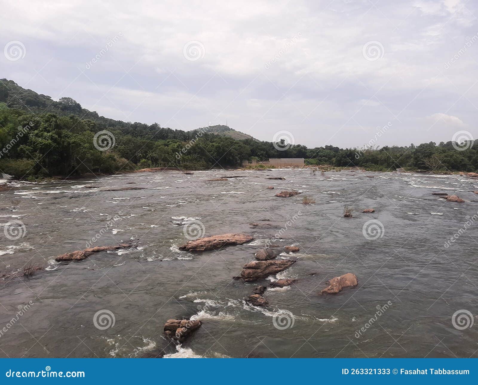 Lago de reservorio fluvial imagen de archivo. Imagen de suelo - 263321333