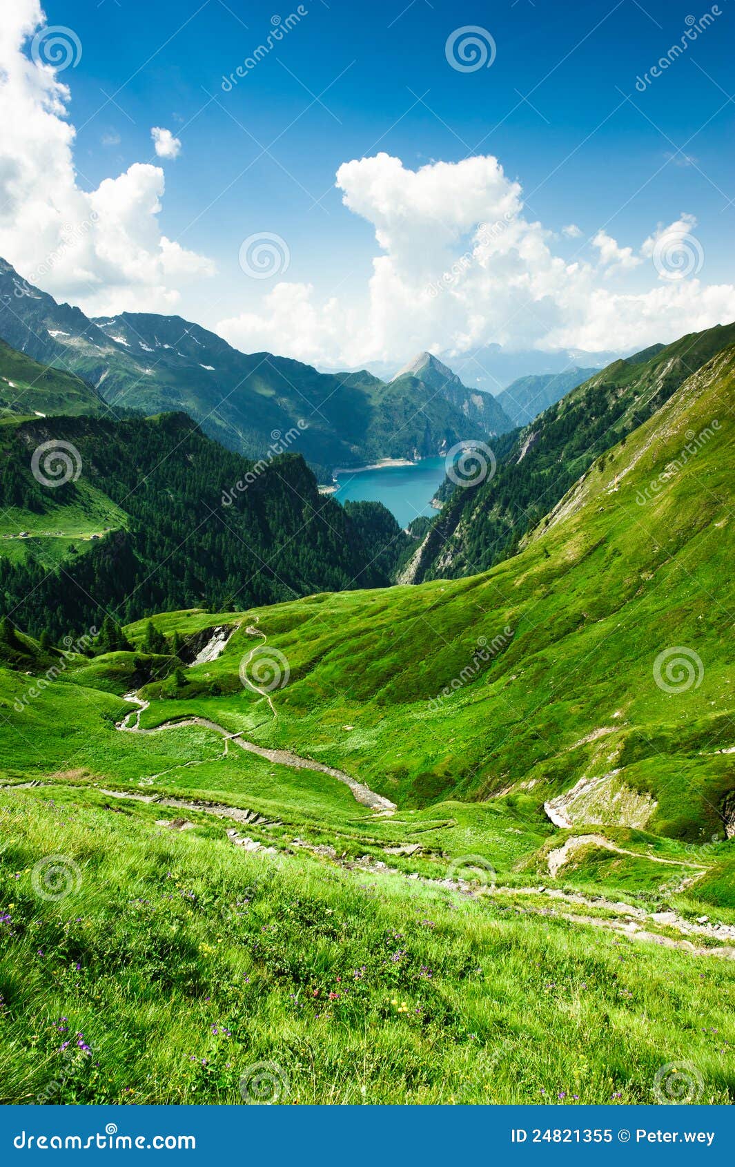 Lago di Luzzone stock image. Image of forest, alps, upper - 24821355