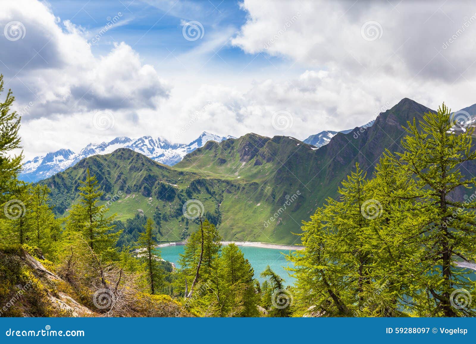 Lago Di Ritom Nel Ticino, Svizzera Immagine Stock - Immagine di fiore ...