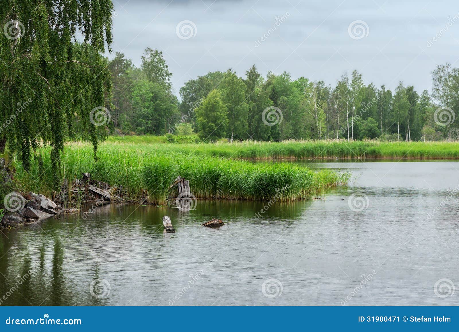 Lago Durante L'acquerugiola Leggera Immagine Stock - Immagine di erba ...