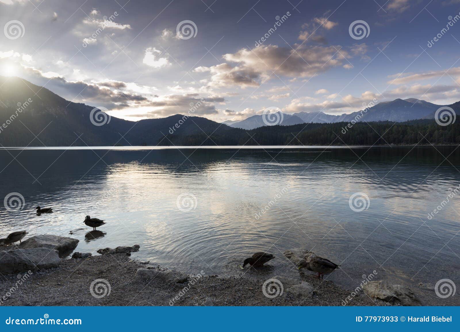 Lago Eibsee En Baviera, Alemania Imagen de archivo - Imagen de lago ...