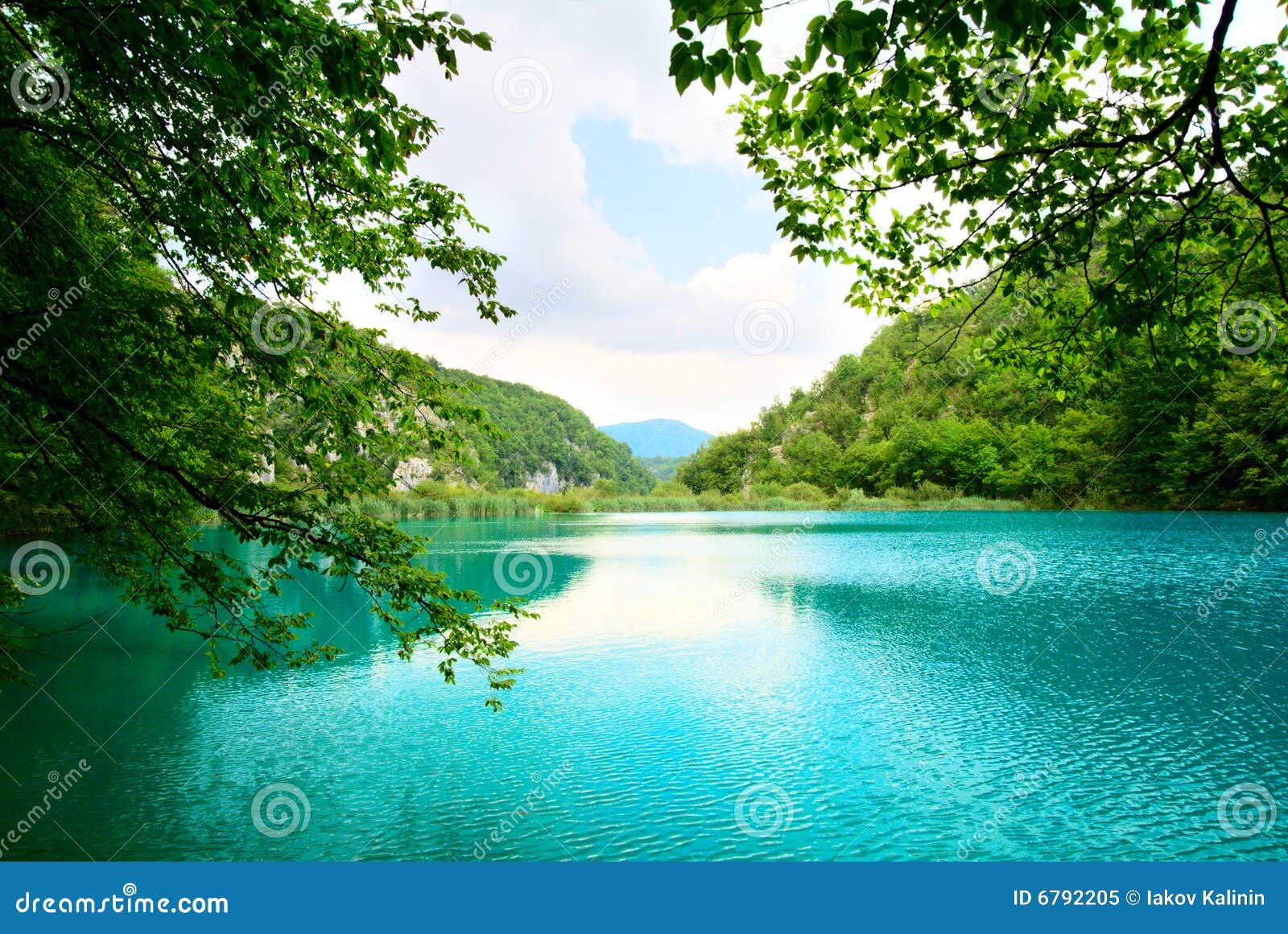 Lago en bosque imagen de archivo. Imagen de cubo, bosque - 6792205