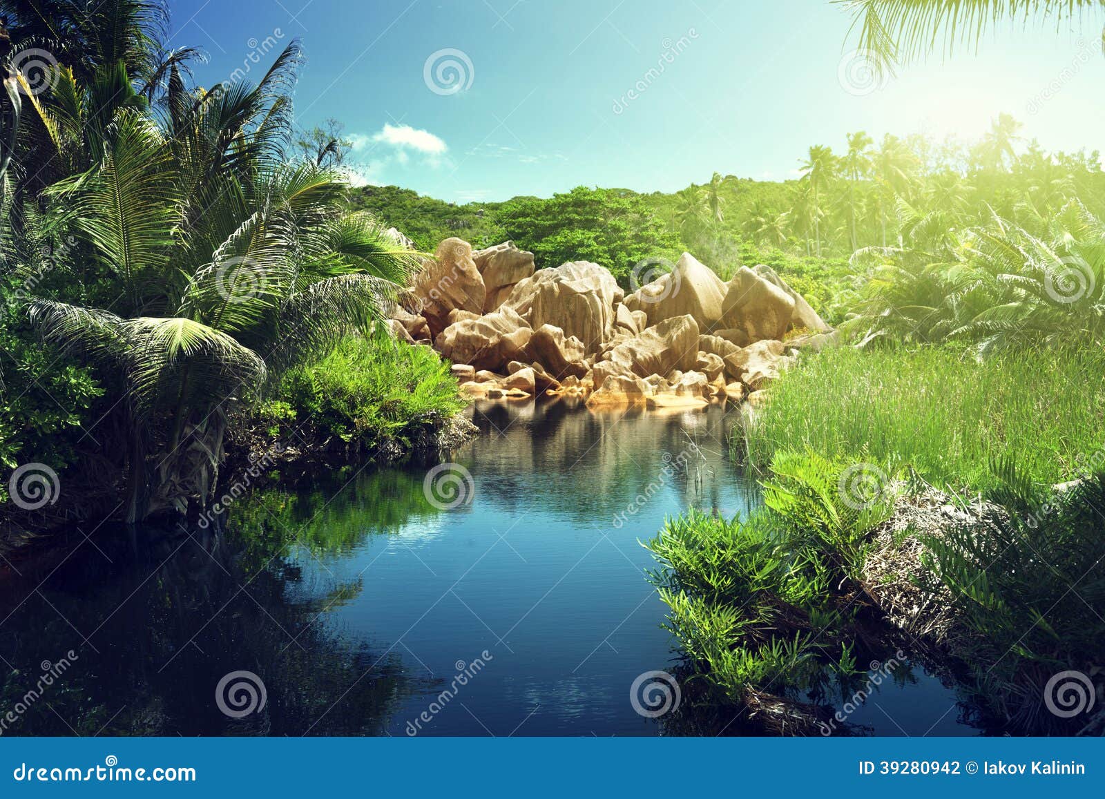 Lago En La Selva De Seychelles Foto de archivo - Imagen de nube ...