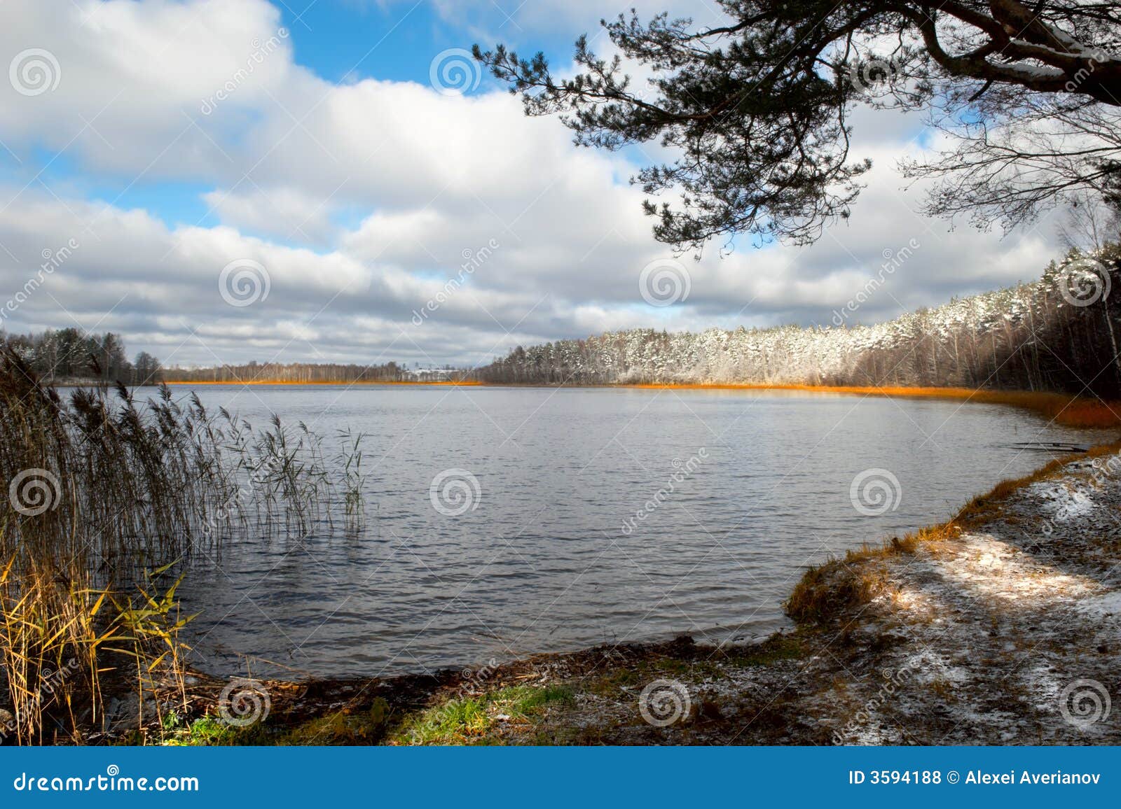 Lago forest foto de archivo. Imagen de lago, cubo, senderismo - 3594188