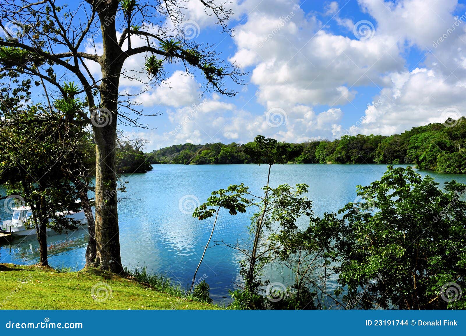 Lago Gatun foto de archivo. Imagen de canal, selva, tropical - 23191744