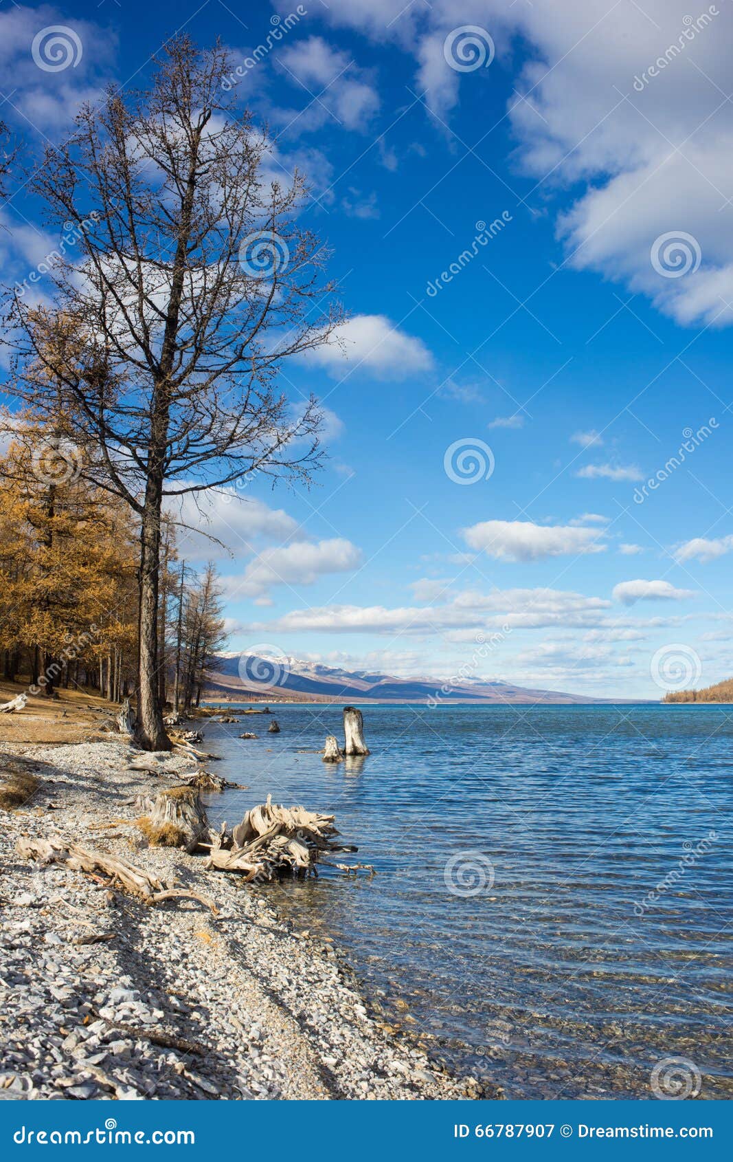 Lago Hovsgol en Mongolia imagen de archivo. Imagen de mongol - 66787907