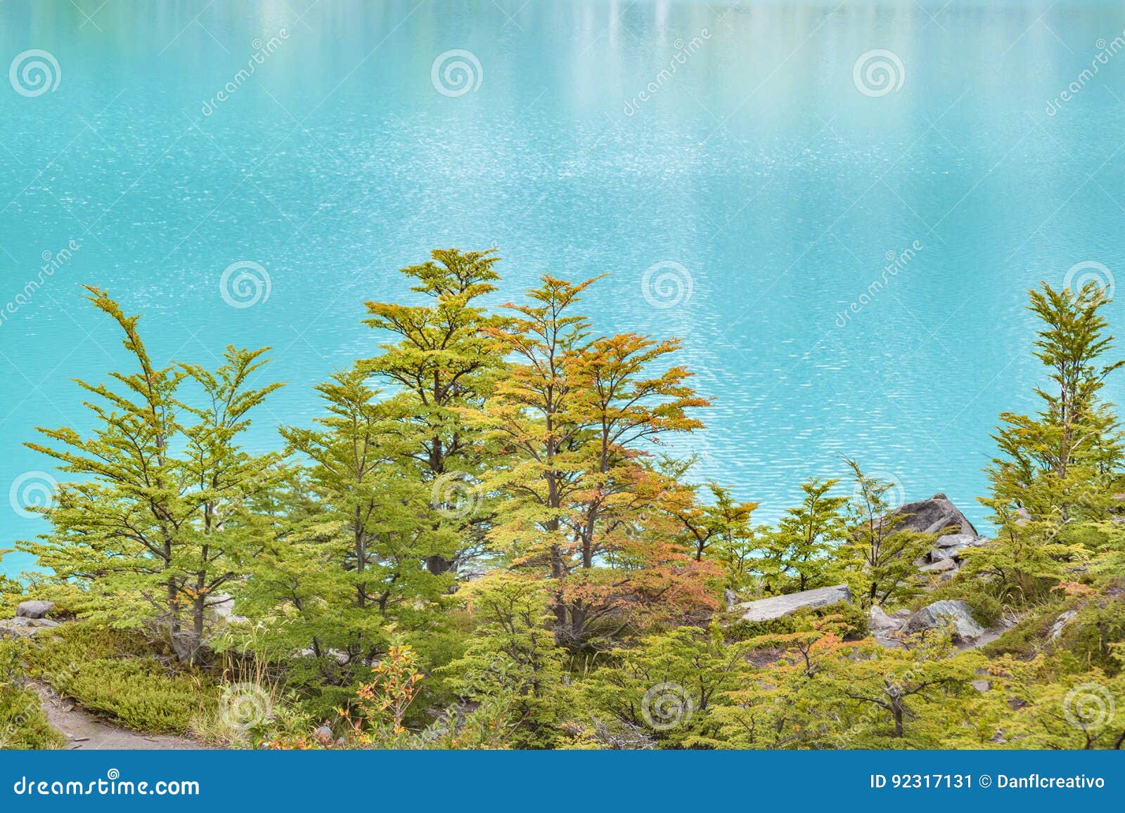 Lago Huemul - Patagonia - Argentina Imagem de Stock - Imagem de ...