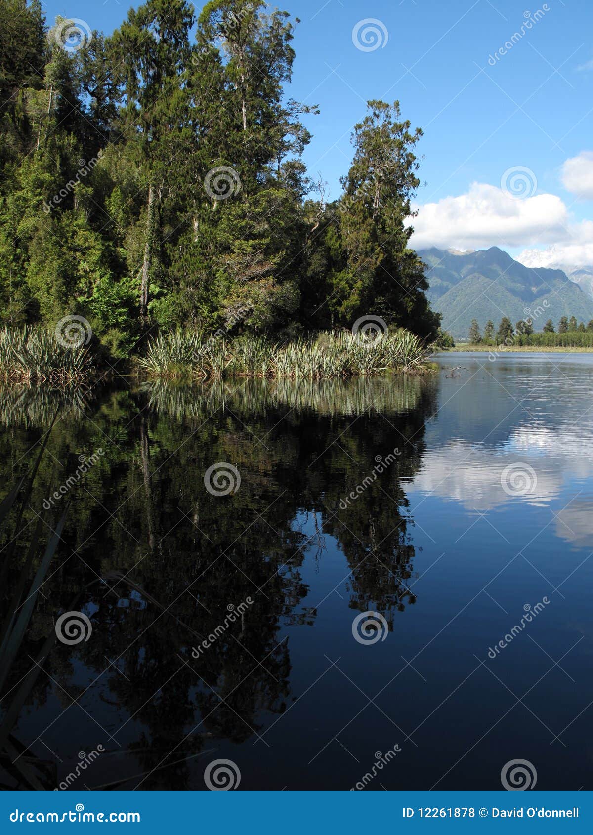 Lago Matheson foto de archivo. Imagen de rural, reflejado - 12261878
