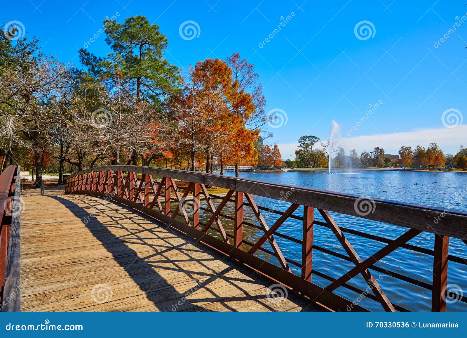 Lago Mcgovern Do Parque De Houston Hermann Foto de Stock - Imagem de ...