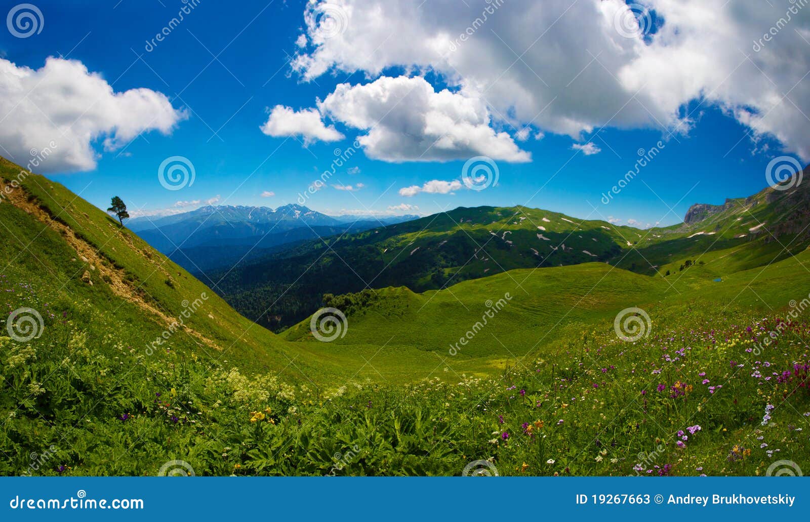 Lago-Naki,the West Caucasus Plateau Stock Image - Image of grass ...