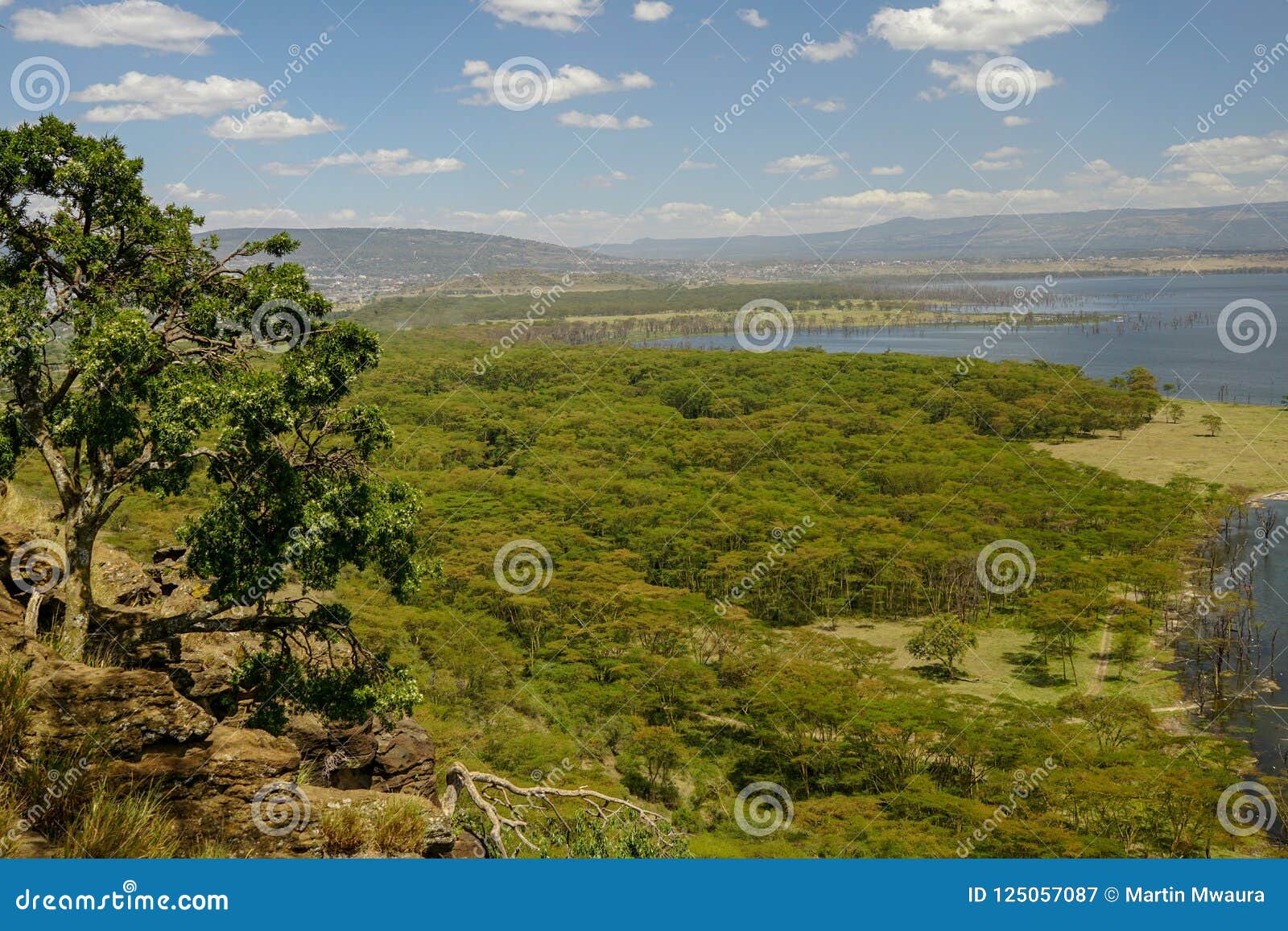 Lago Nakuru Em Nakuru County, Rift Valley, Kenya Imagem de Stock ...