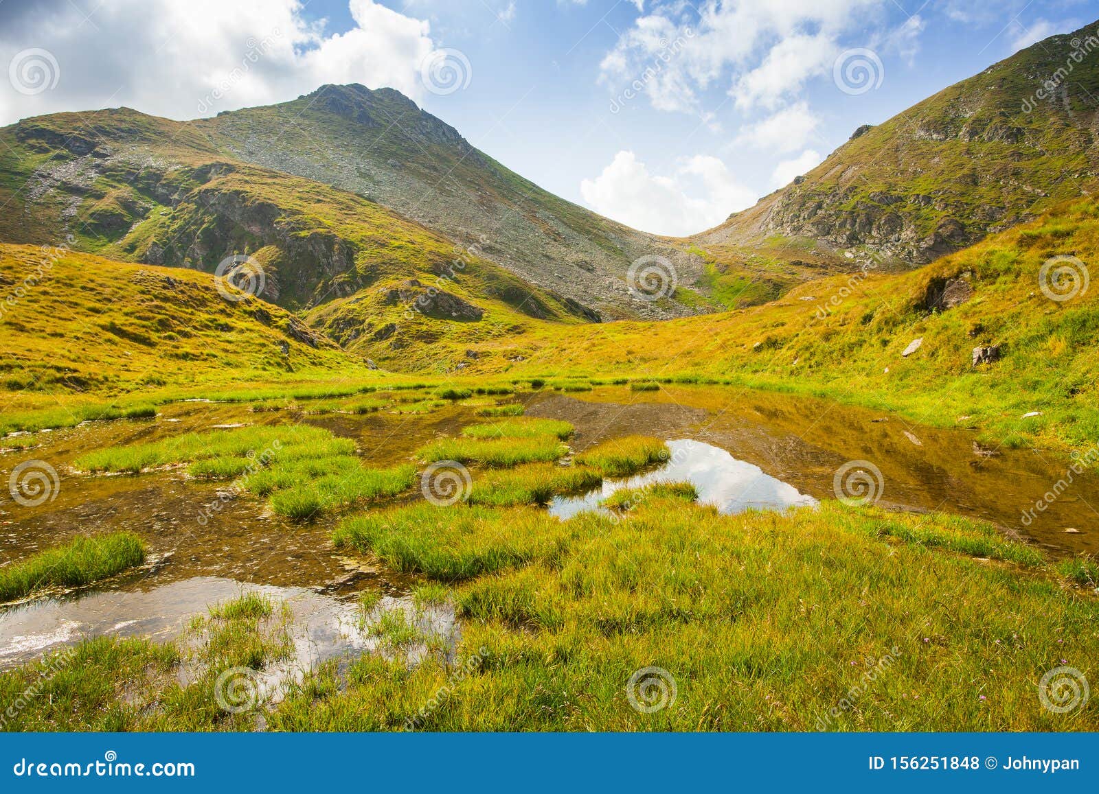 Lago o pantano foto de archivo. Imagen de exterior, calma - 156251848