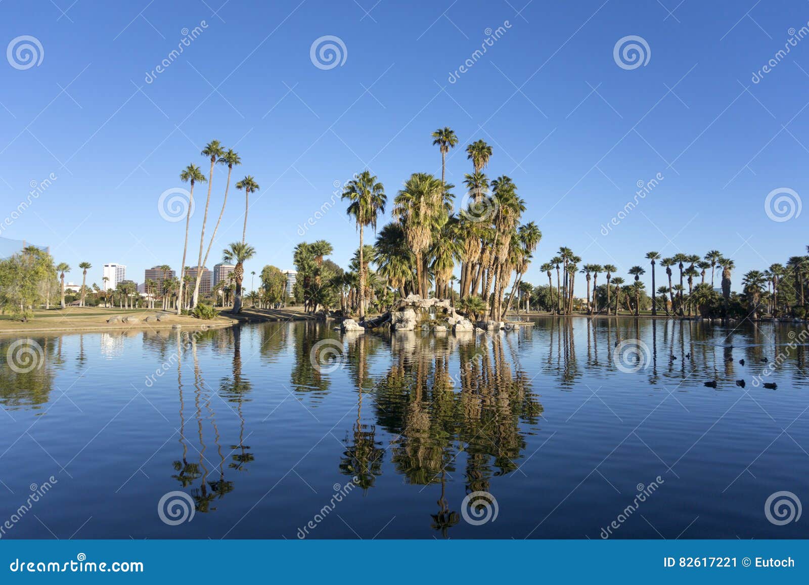 Lago Park De Encanto, Phoenix Do Centro, AZ Imagem de Stock - Imagem de ...