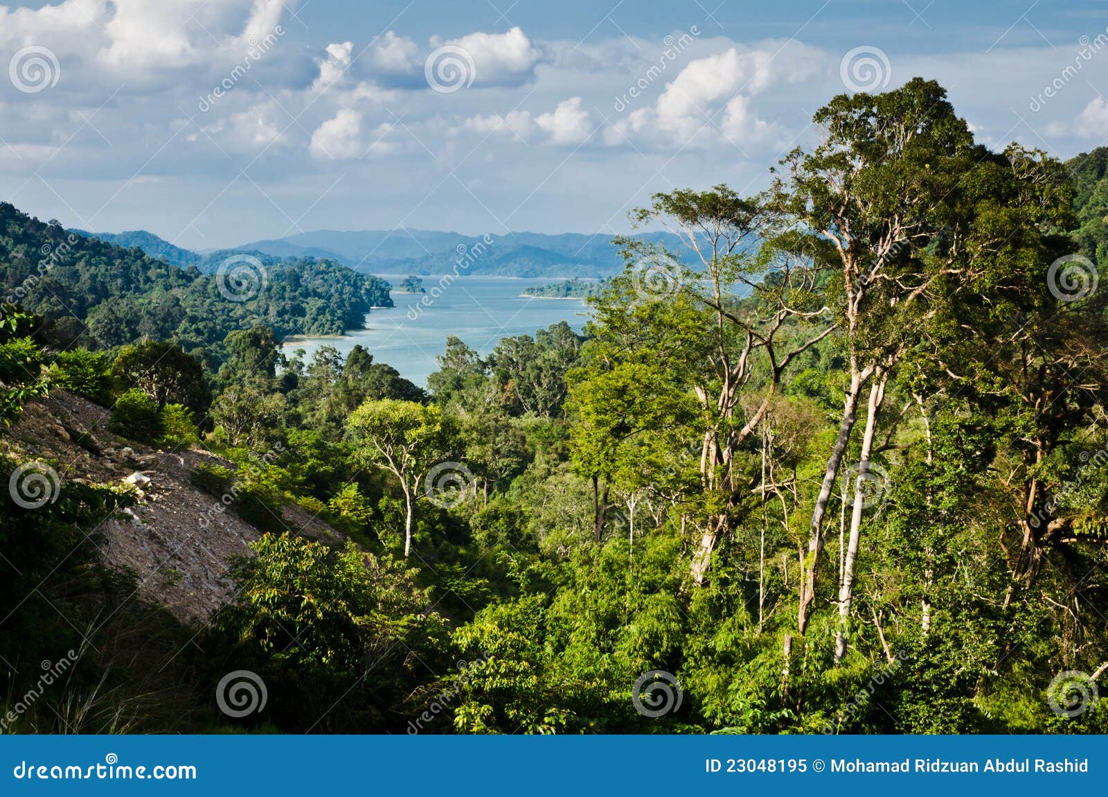 Lago Pedu imagem de stock. Imagem de floresta, céu, lago - 23048195